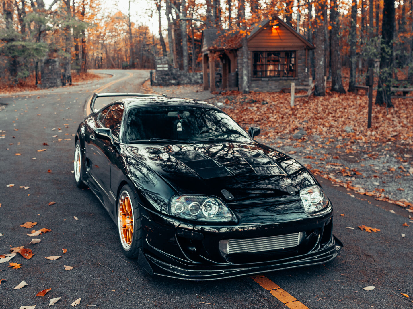 Supra Autumn Wallpapers - Wallpaper Cave