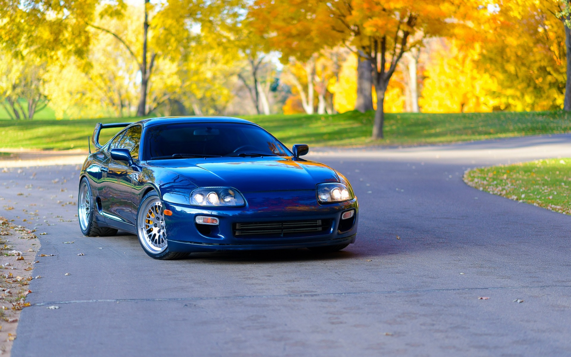 Supra Autumn Wallpapers - Wallpaper Cave
