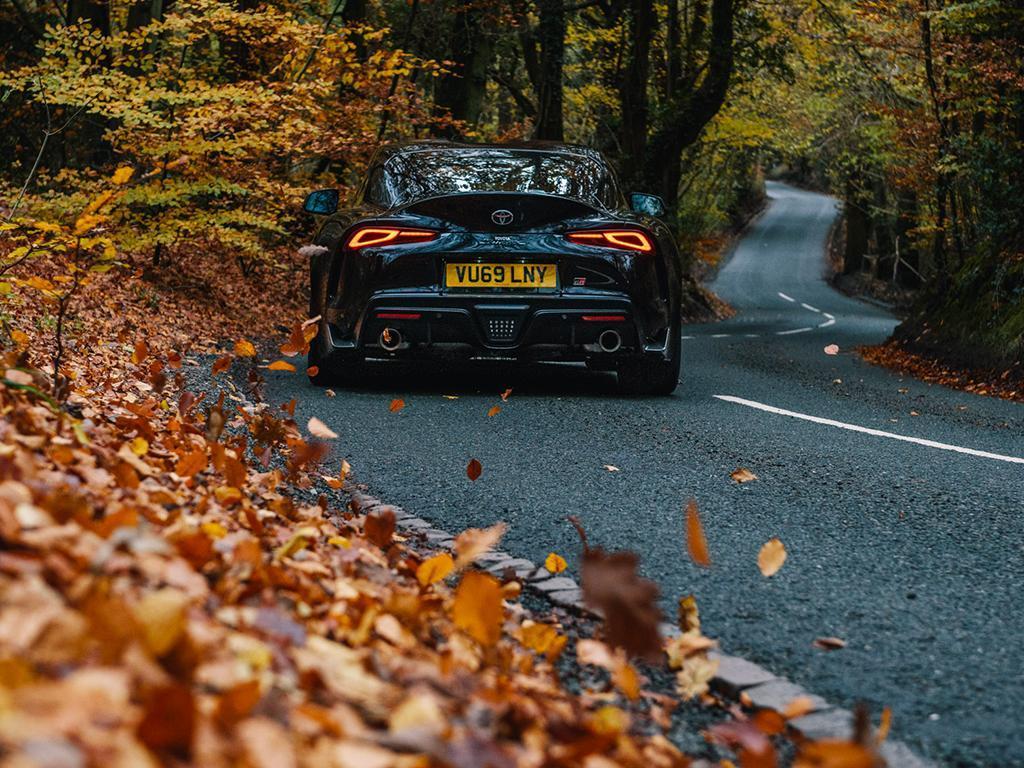 Supra Autumn Wallpapers - Wallpaper Cave