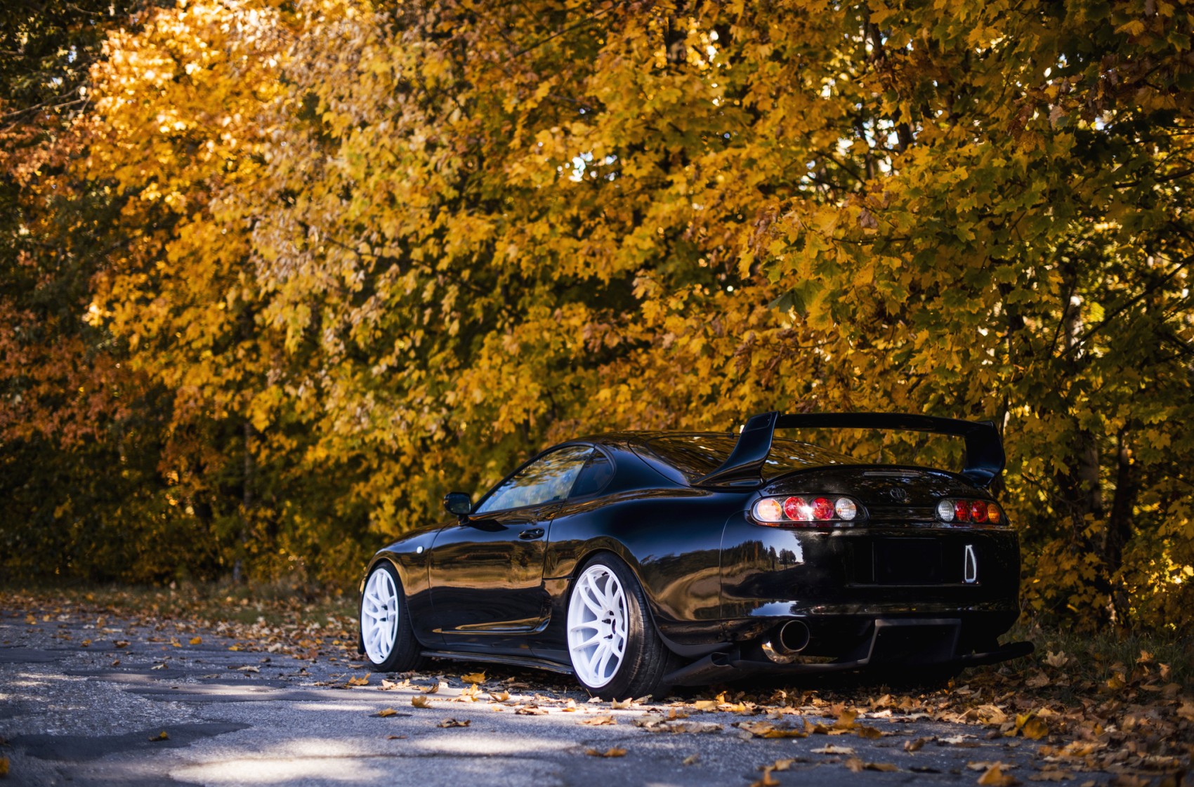 Supra Autumn Wallpapers - Wallpaper Cave