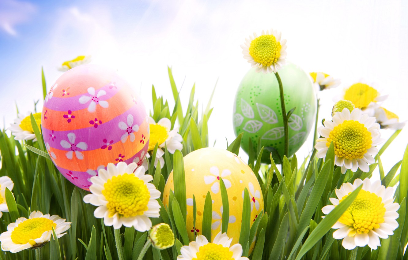 Easter Flowers Meadow Wallpapers - Wallpaper Cave