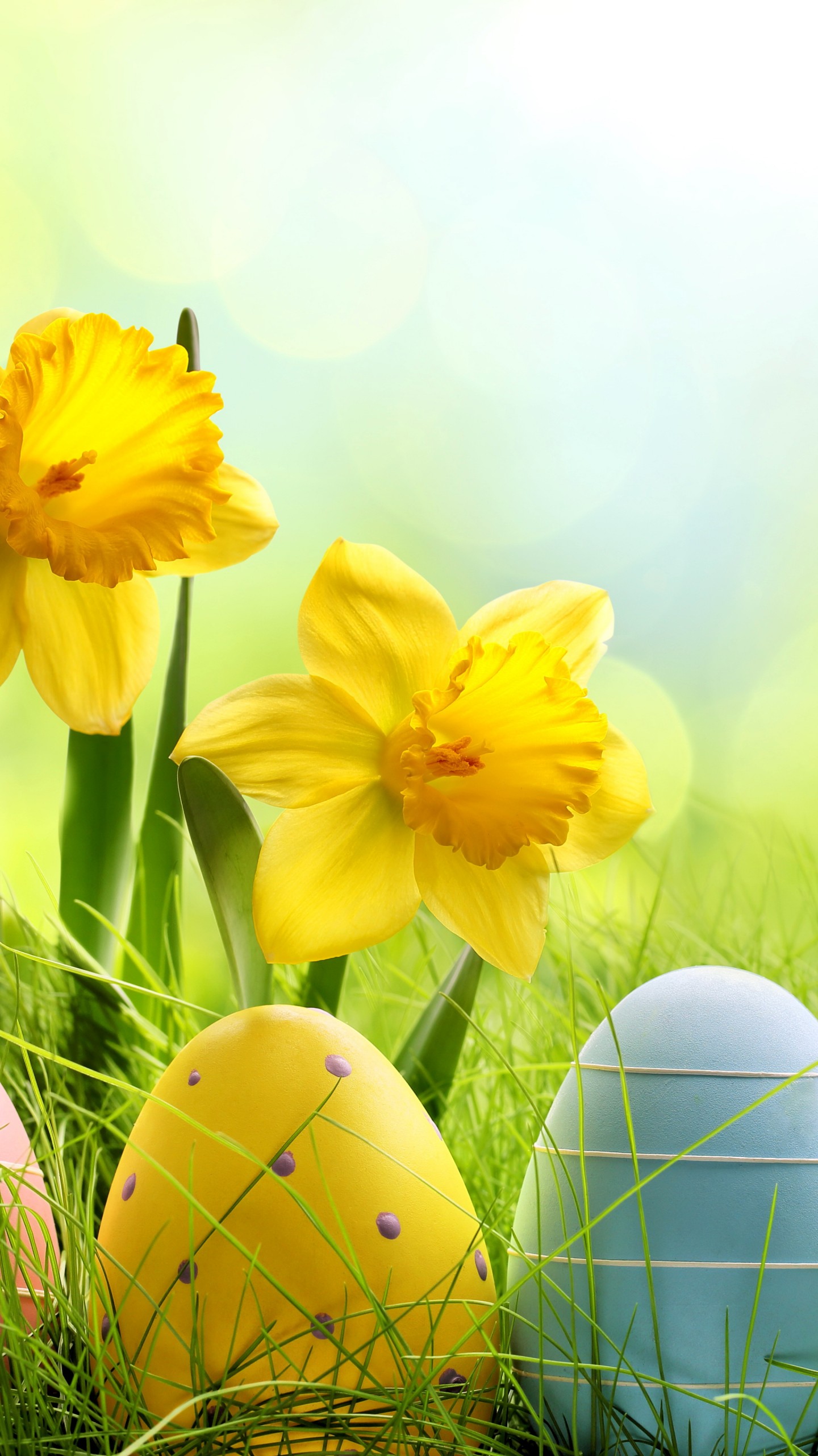Easter Flowers Meadow Wallpapers - Wallpaper Cave