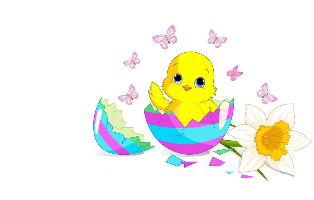 Happy Easter Chickens Wallpapers - Wallpaper Cave