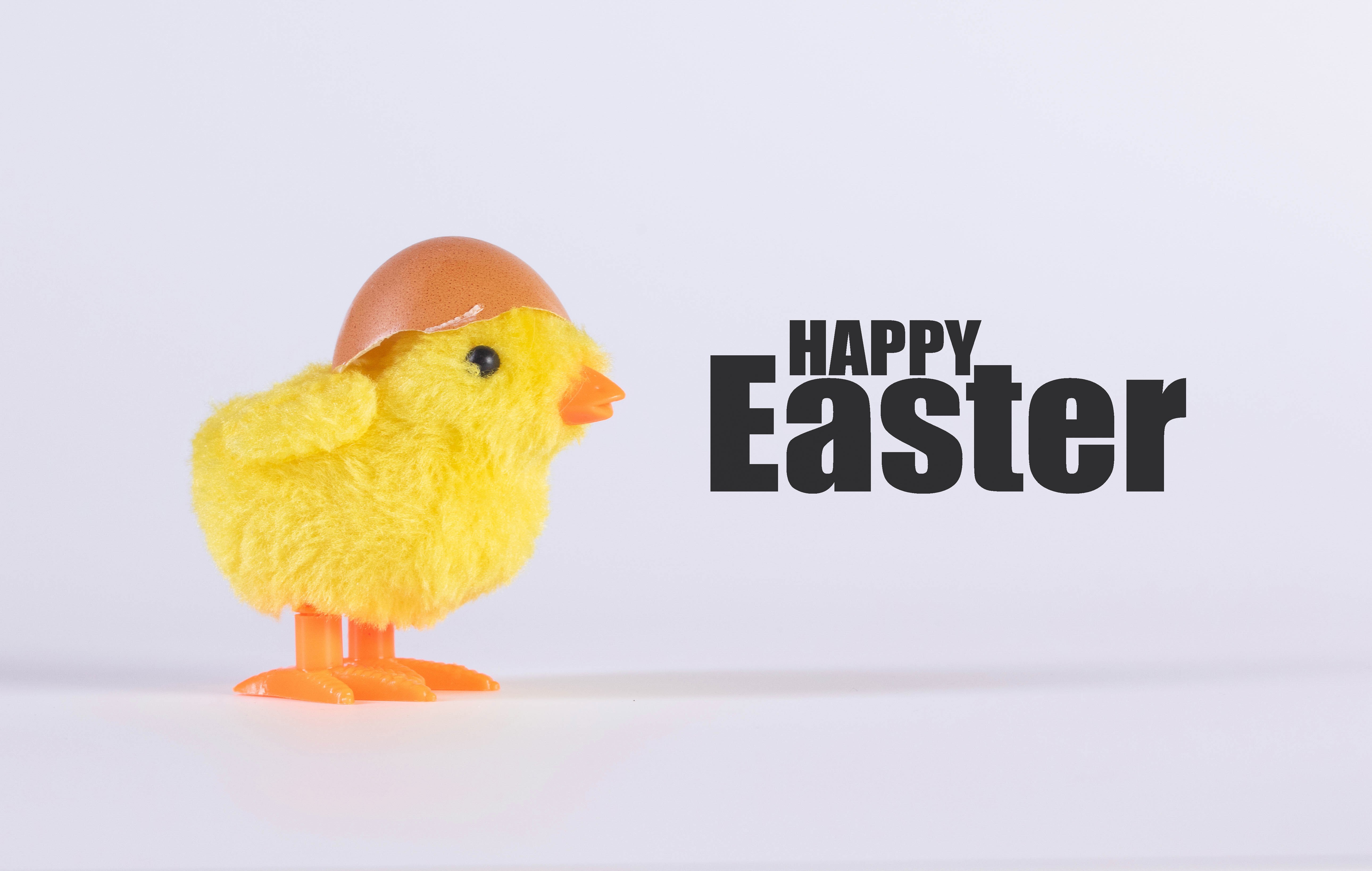 Happy Easter Chickens Wallpapers - Wallpaper Cave