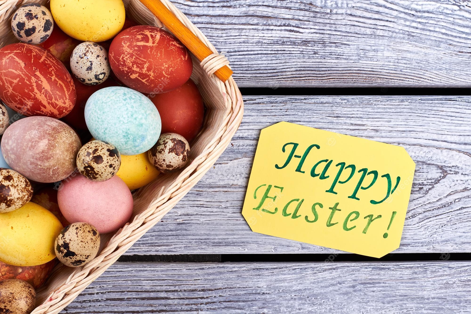 Happy Easter Chickens Wallpapers - Wallpaper Cave