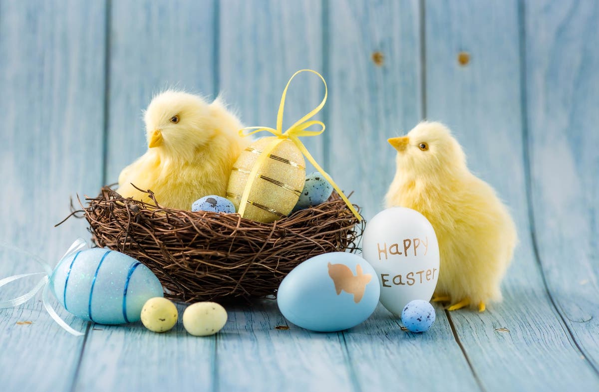 Happy Easter Chickens Wallpapers - Wallpaper Cave