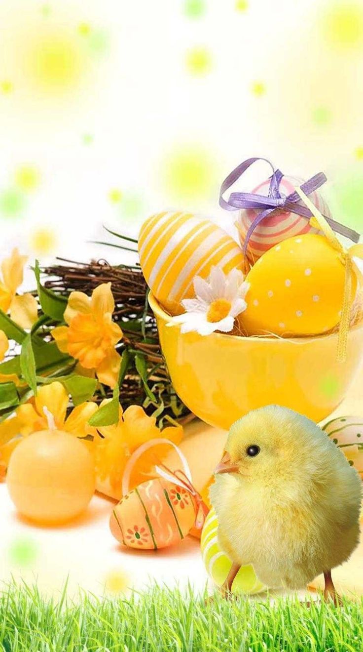 Happy Easter Chickens Wallpapers - Wallpaper Cave