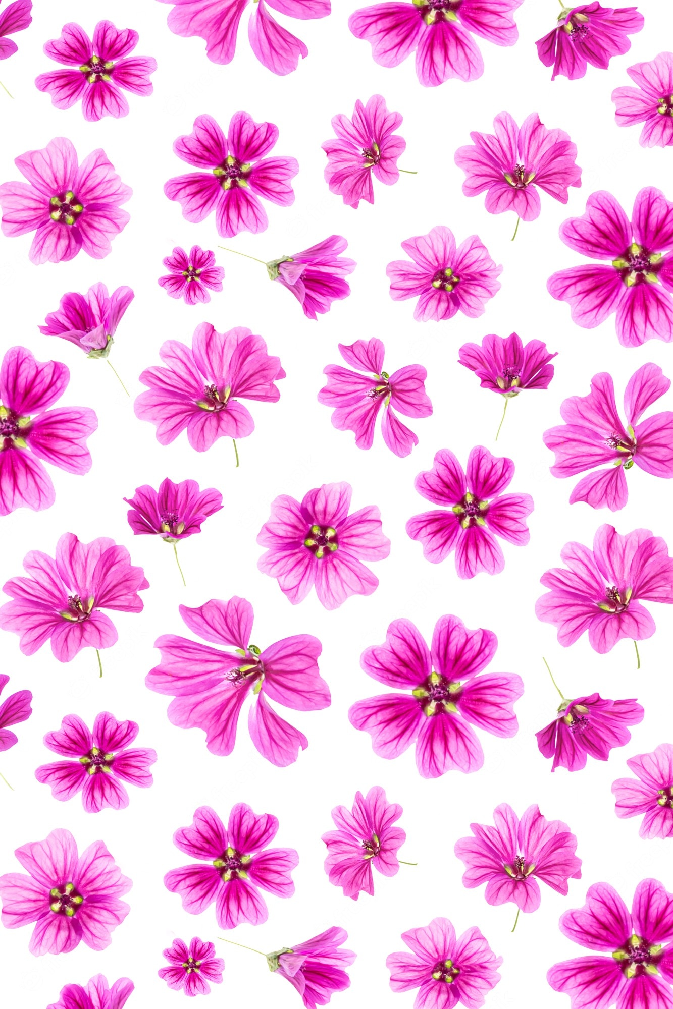 Hot Pink Summer Wallpapers - Wallpaper Cave