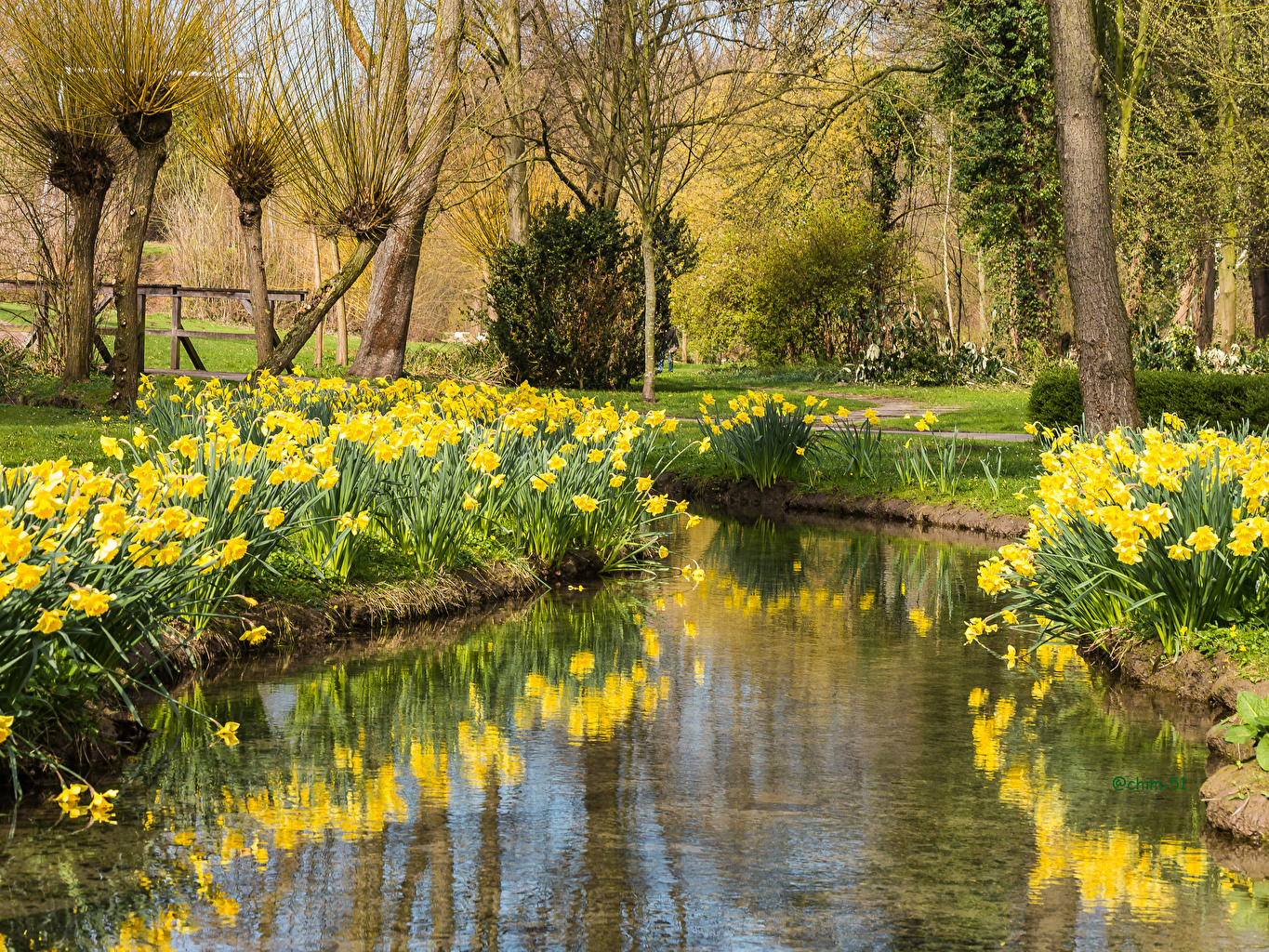 Park Trees Spring Wallpapers - Wallpaper Cave