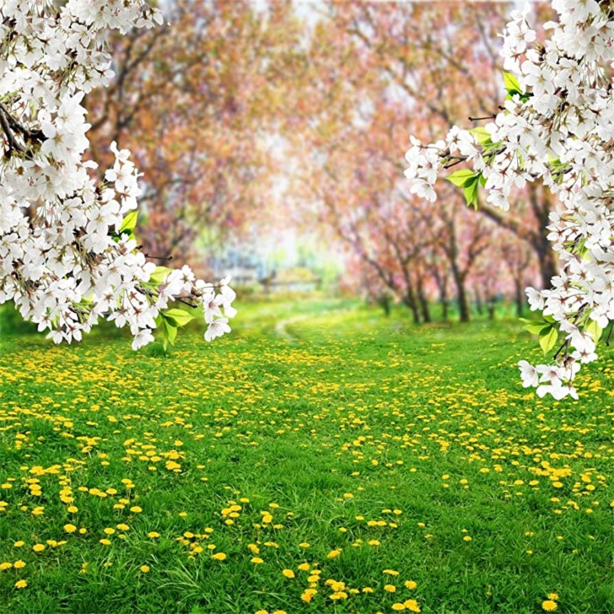 Park Trees Spring Wallpapers - Wallpaper Cave