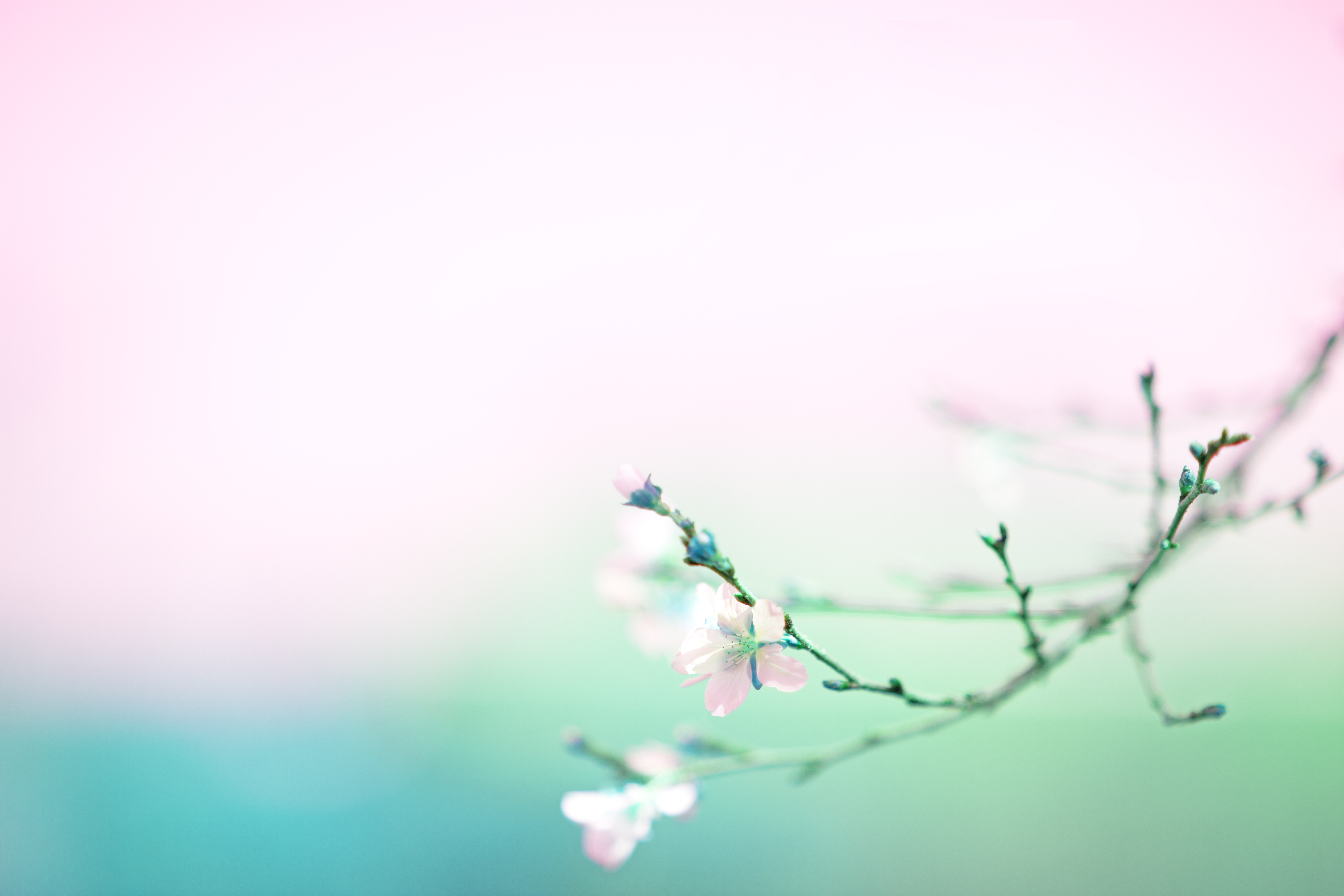 Peaceful Spring Wallpapers - Wallpaper Cave