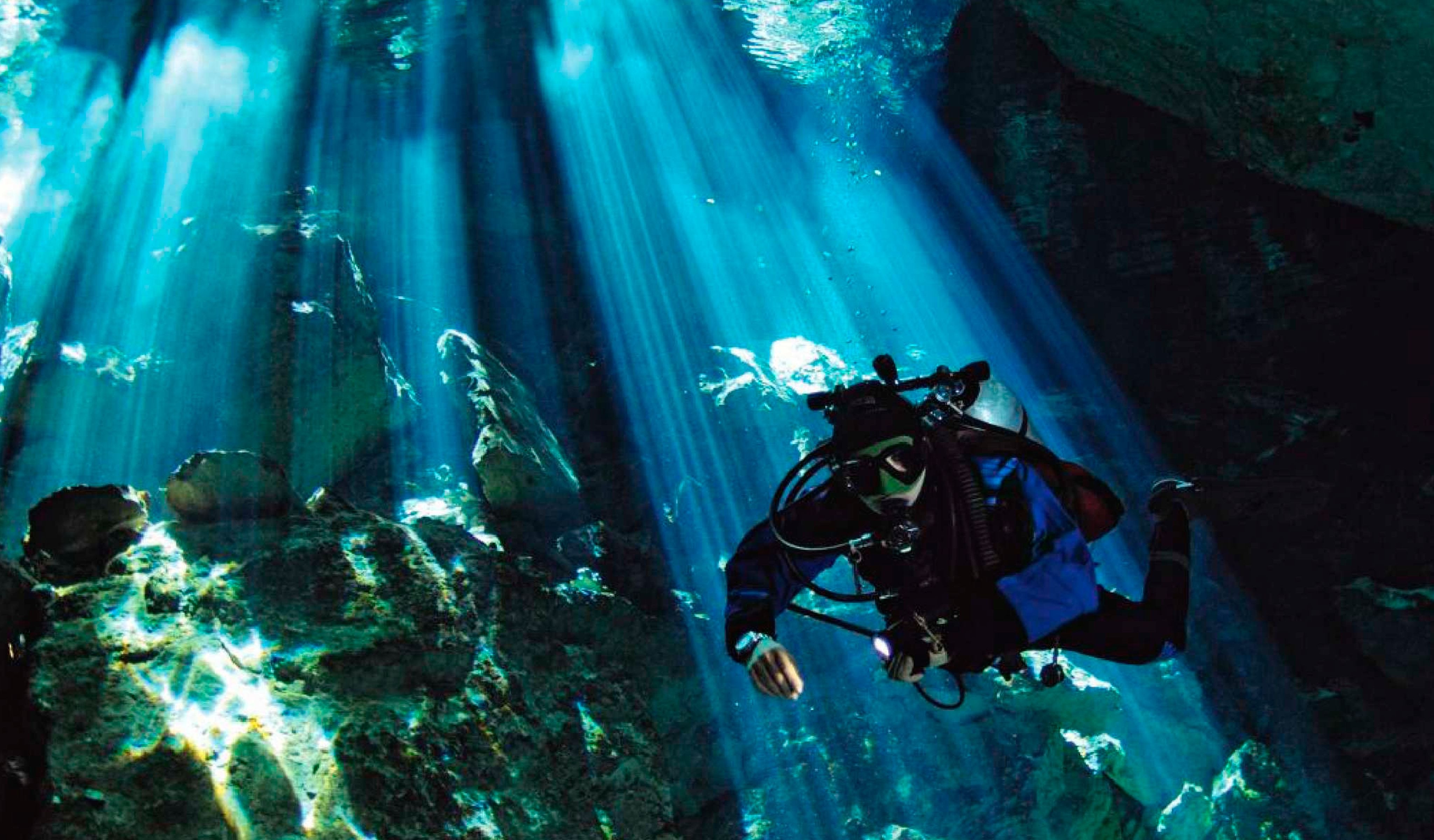 Scuba Diver 4k Wallpapers - Wallpaper Cave