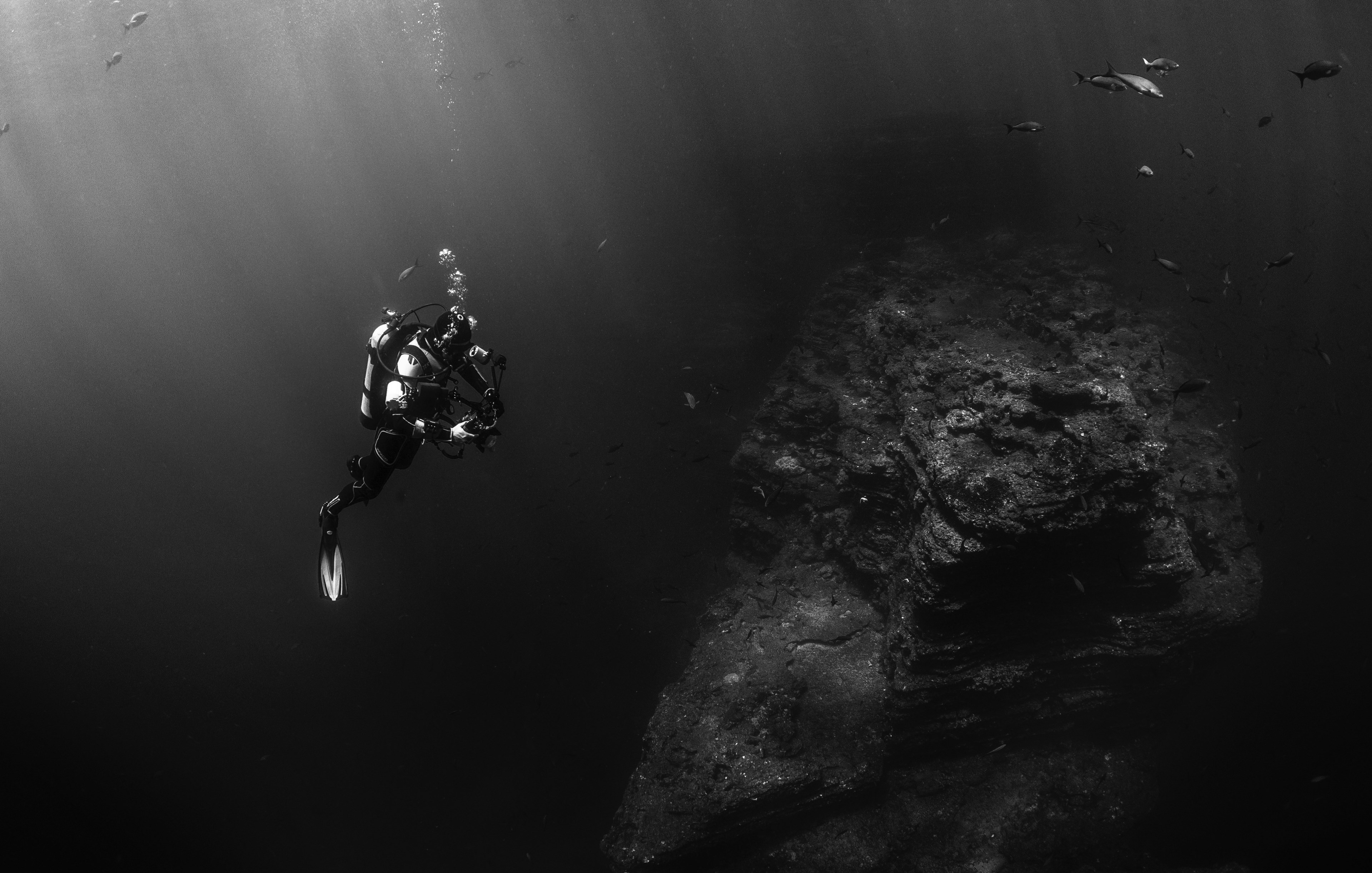 Scuba Diver 4k Wallpapers - Wallpaper Cave