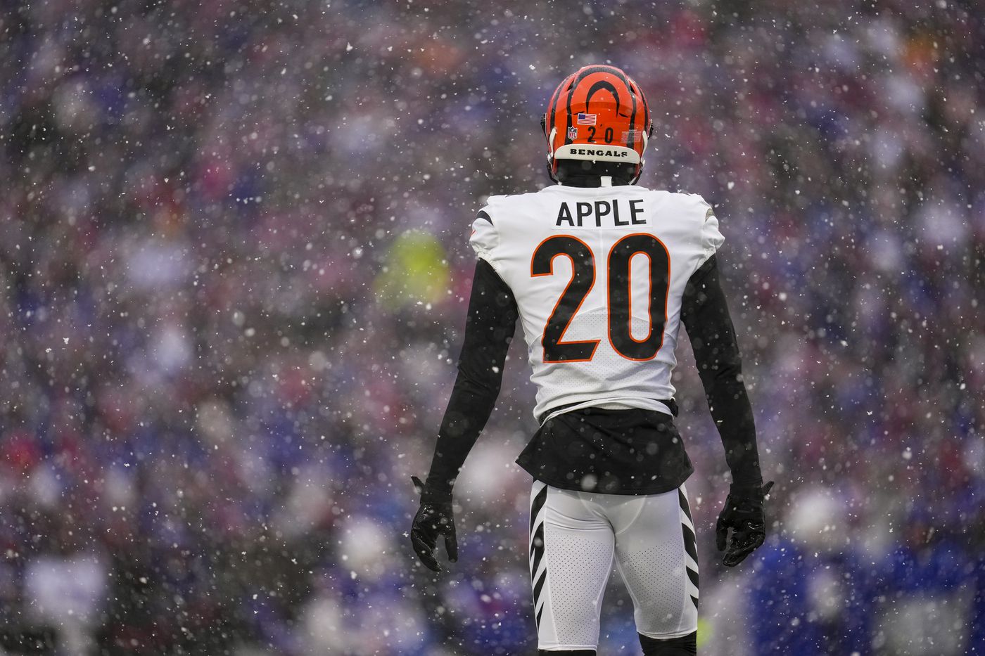 Eli Apple Wallpapers - Wallpaper Cave