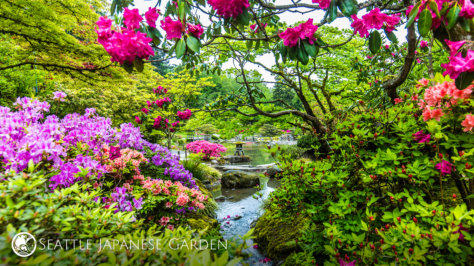 Japanese Spring Gardens Wallpapers - Wallpaper Cave