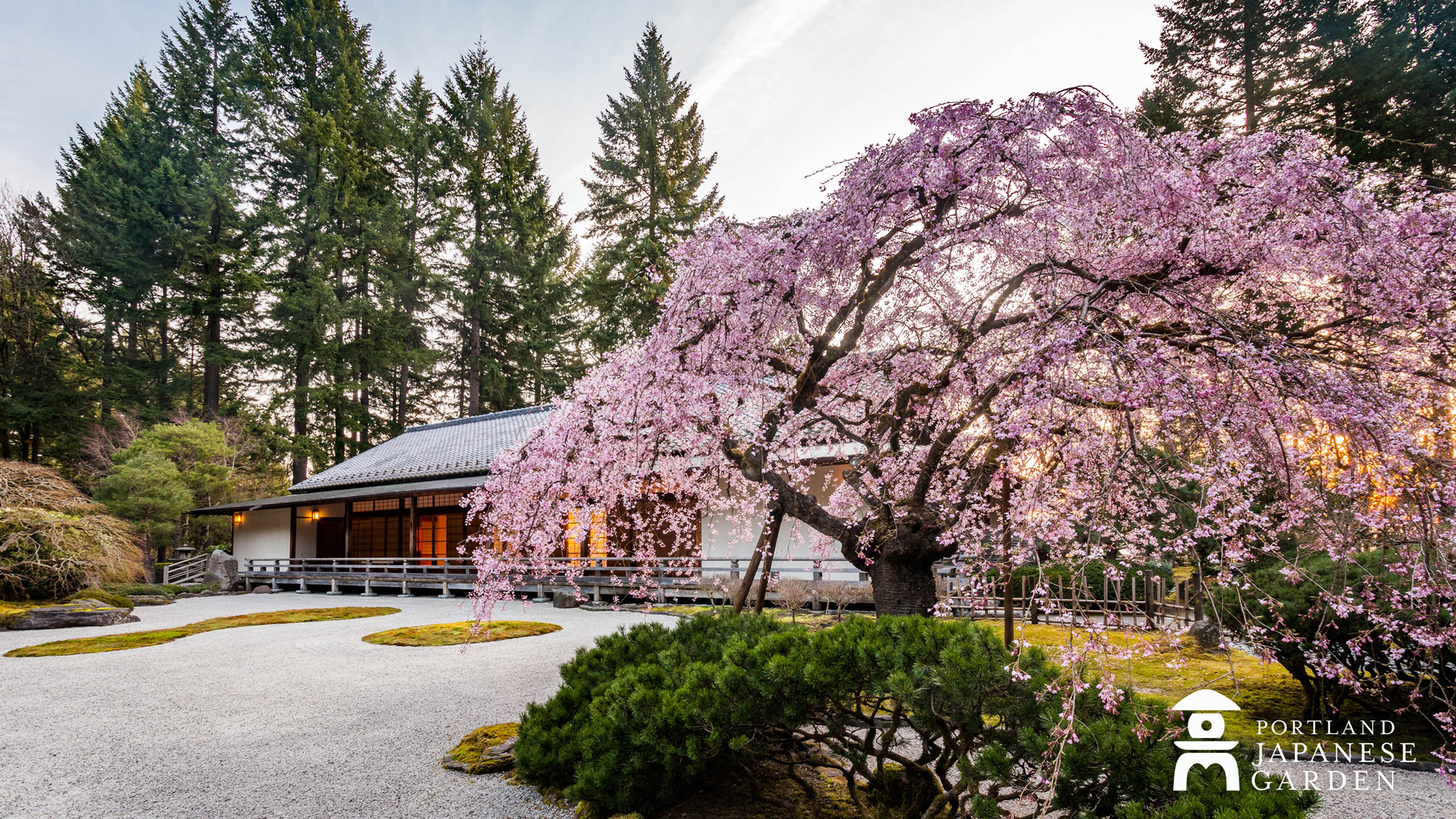 Japanese Spring Gardens Wallpapers - Wallpaper Cave