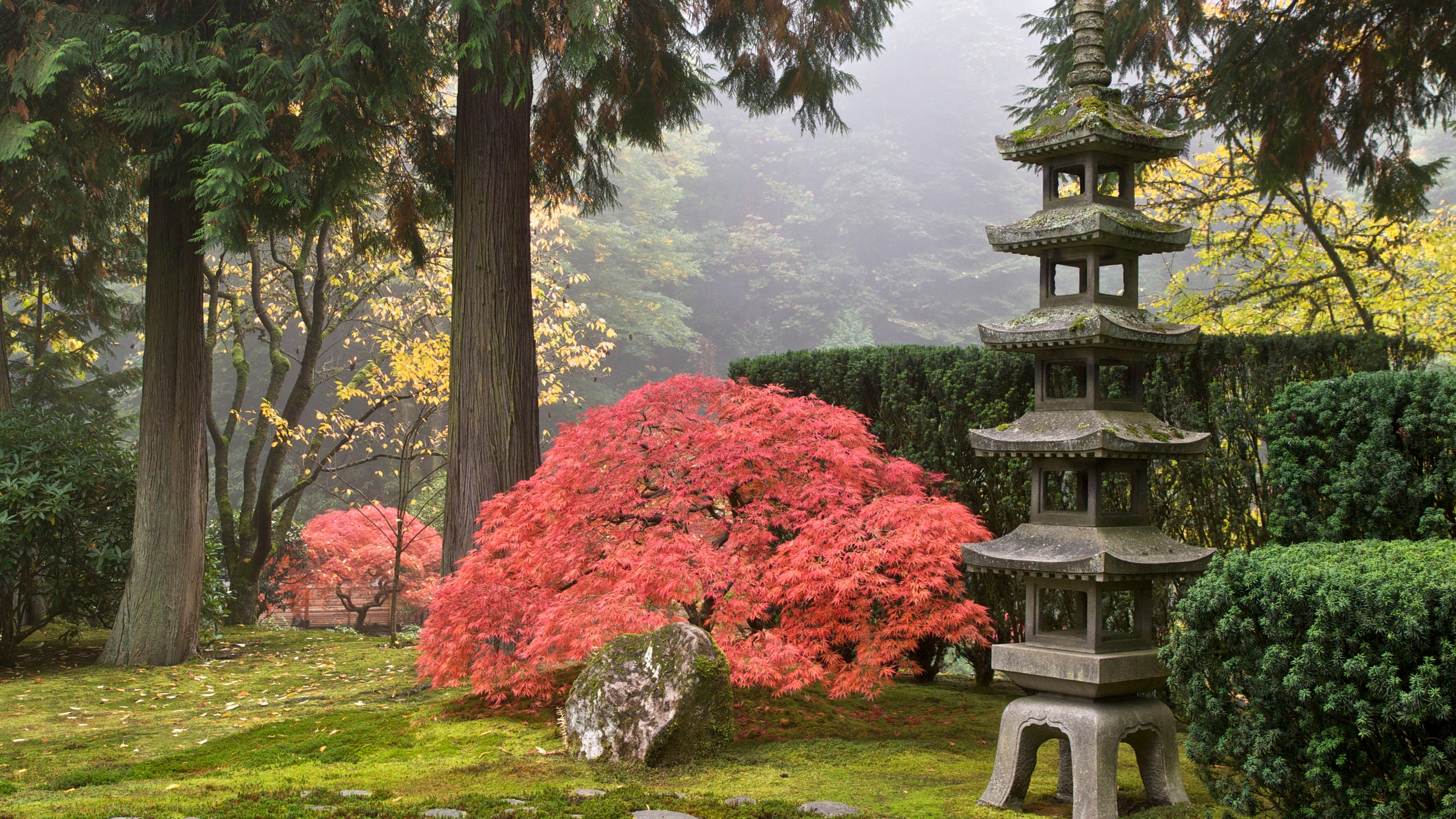 Japanese Spring Gardens Wallpapers - Wallpaper Cave