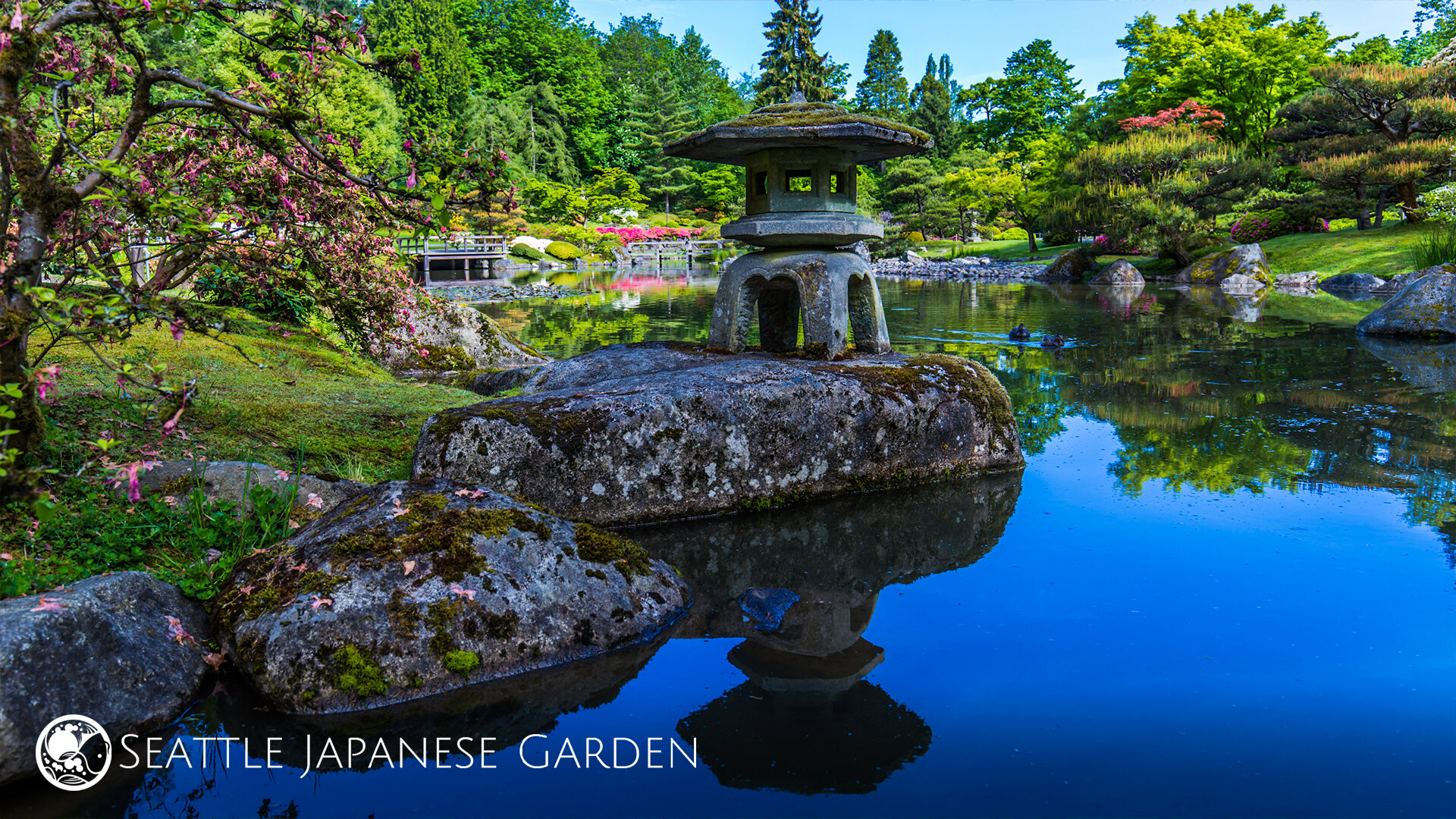 Japanese Spring Gardens Wallpapers - Wallpaper Cave
