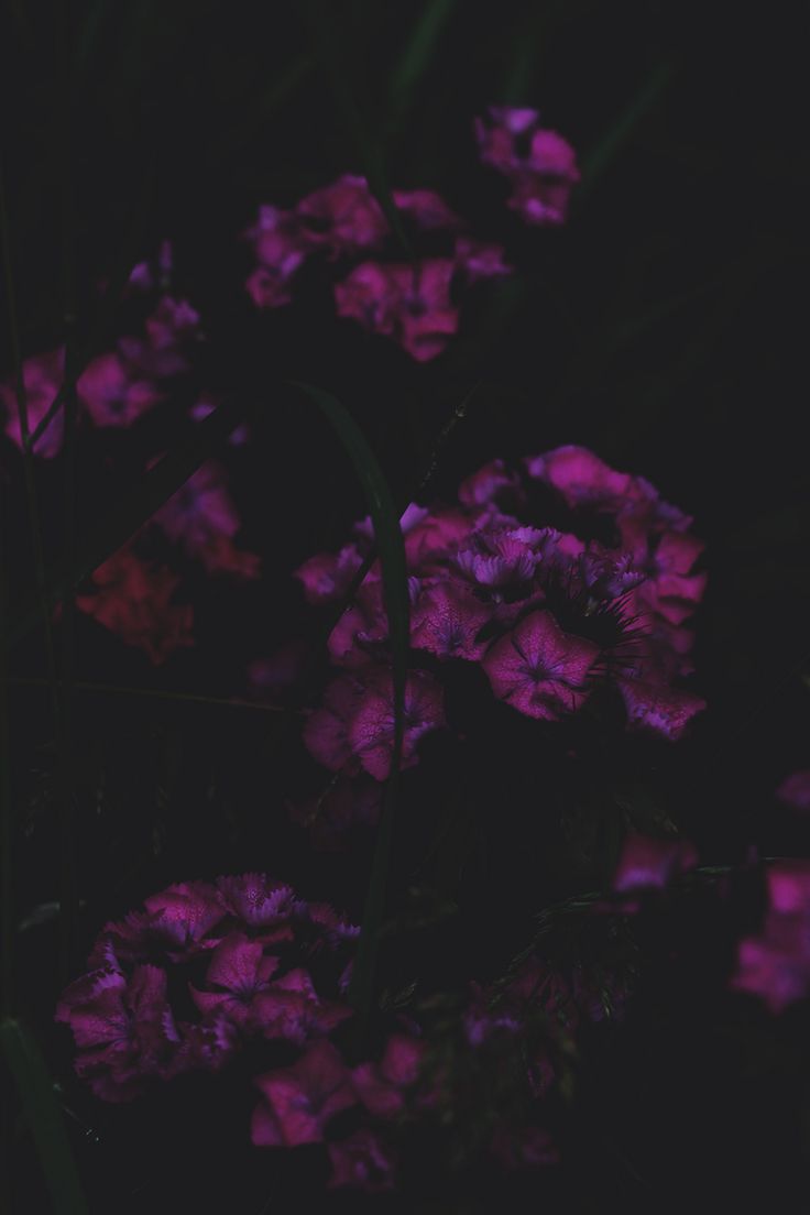 Gothic Spring Wallpapers - Wallpaper Cave