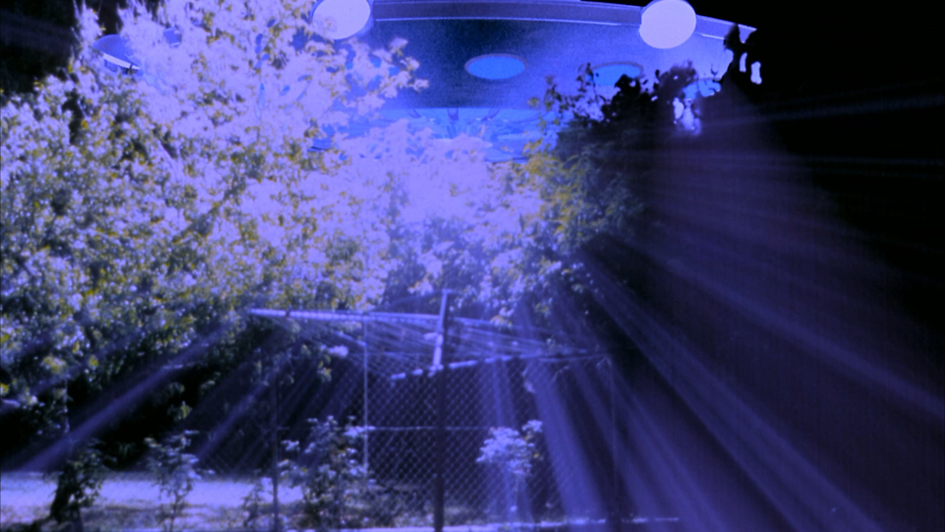 Mysterious Skin Wallpapers - Wallpaper Cave