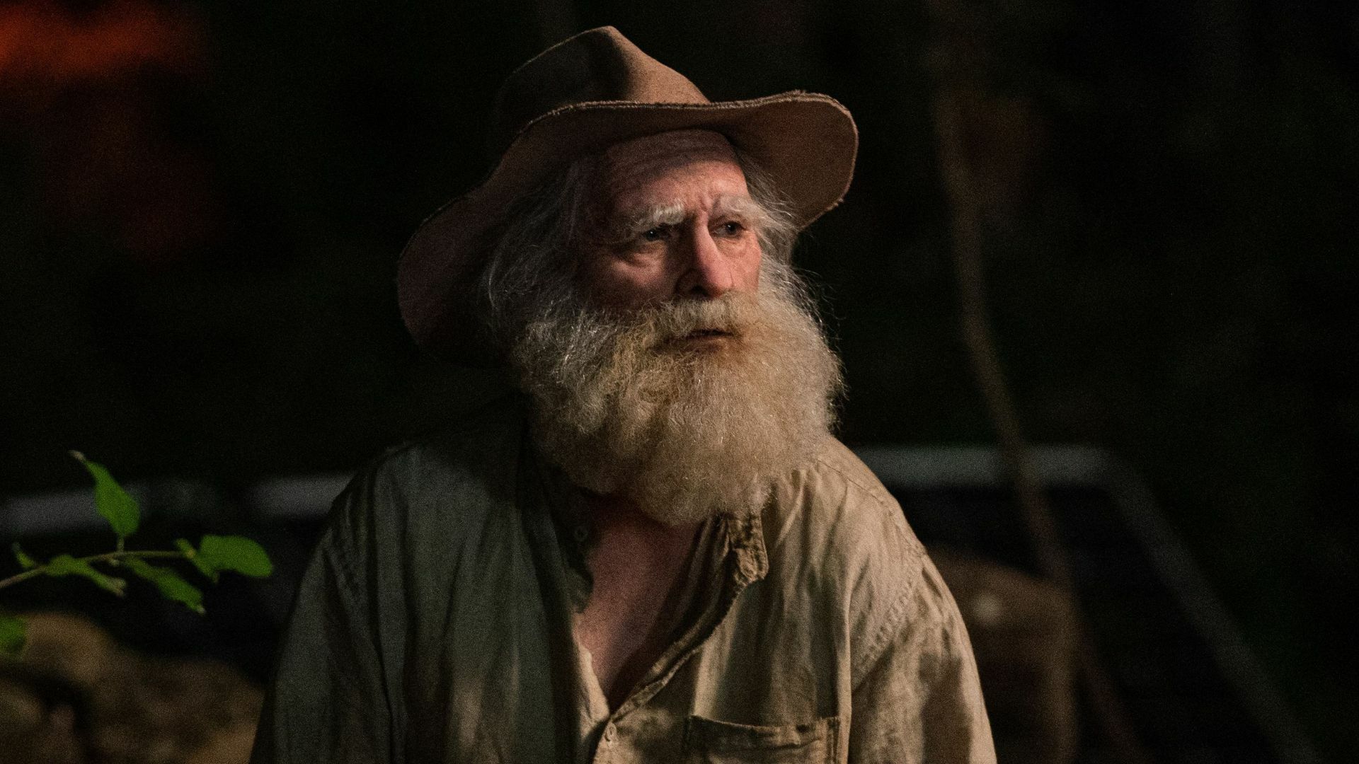 Beau Is Afraid Wallpapers - Wallpaper Cave