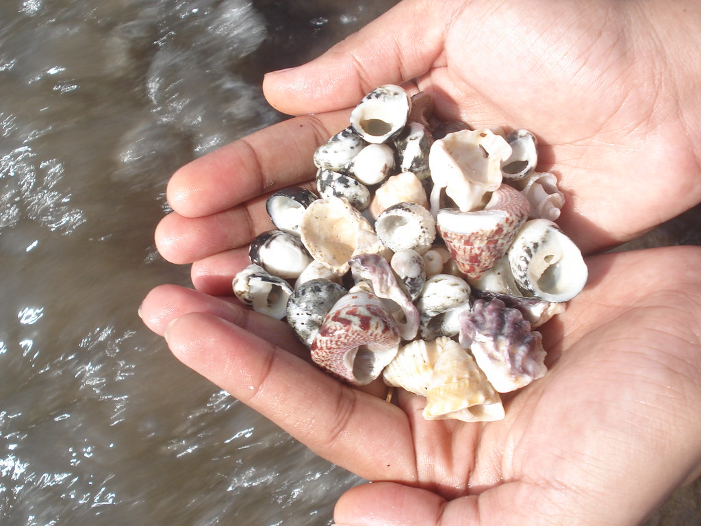 Shankh Wallpapers - Wallpaper Cave