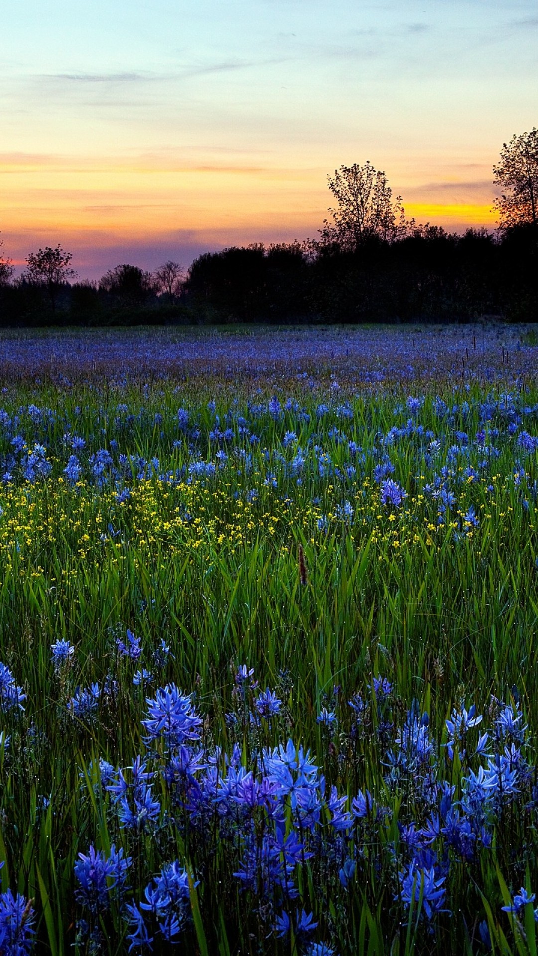 Valley Flowers Wallpapers - Wallpaper Cave