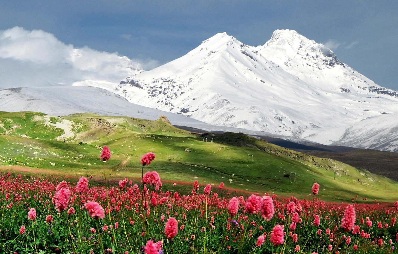 Valley Flowers Wallpapers - Wallpaper Cave