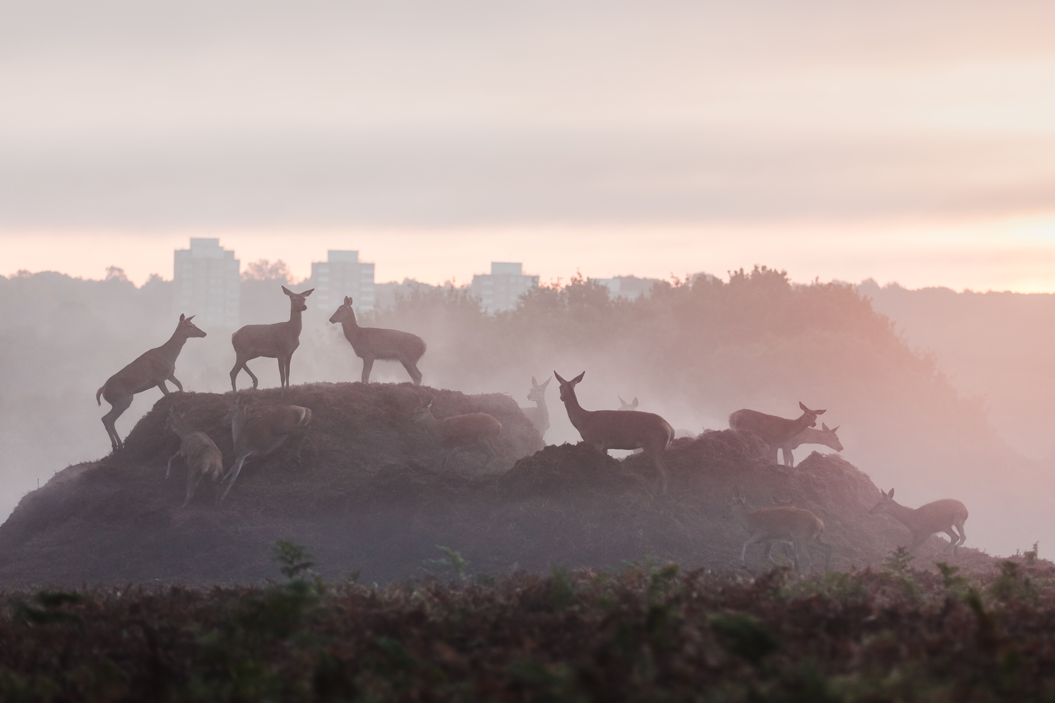 Color Grading Wallpapers - Wallpaper Cave