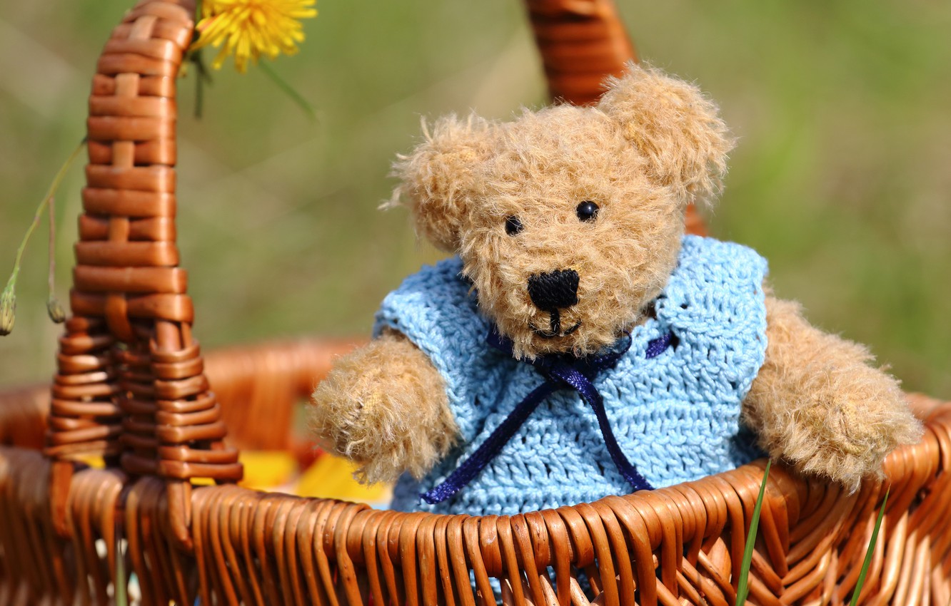 Teddy Bear Summer Wallpapers - Wallpaper Cave