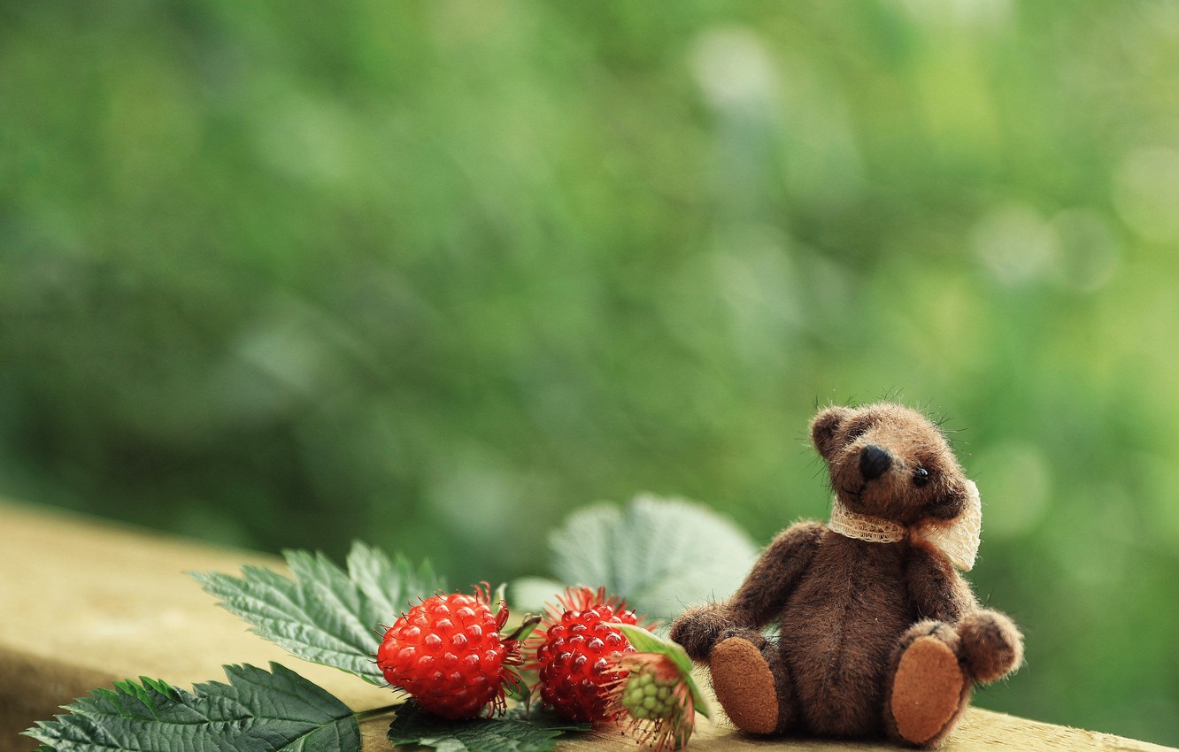 Teddy Bear Summer Wallpapers - Wallpaper Cave