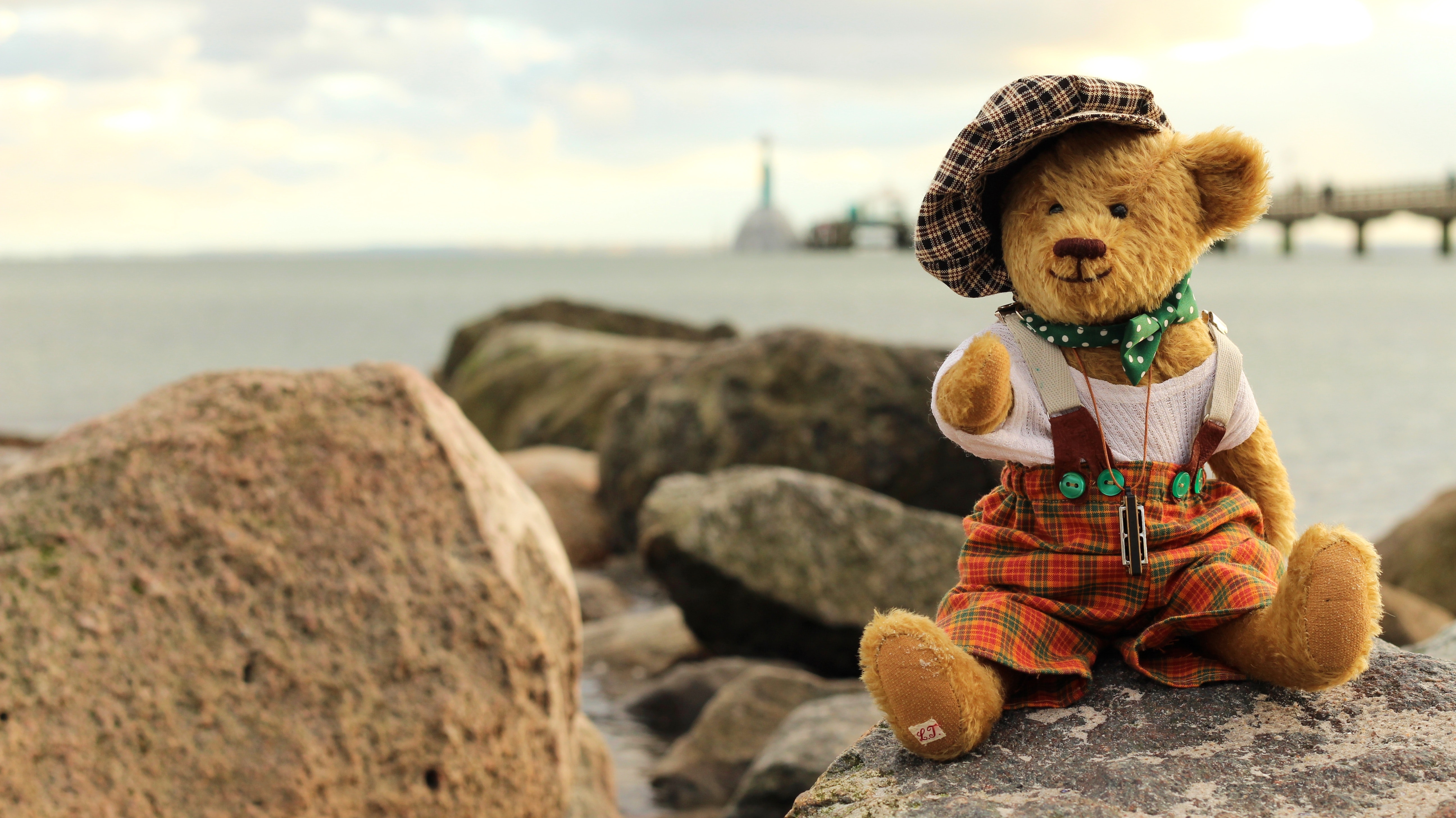 Teddy Bear Summer Wallpapers - Wallpaper Cave