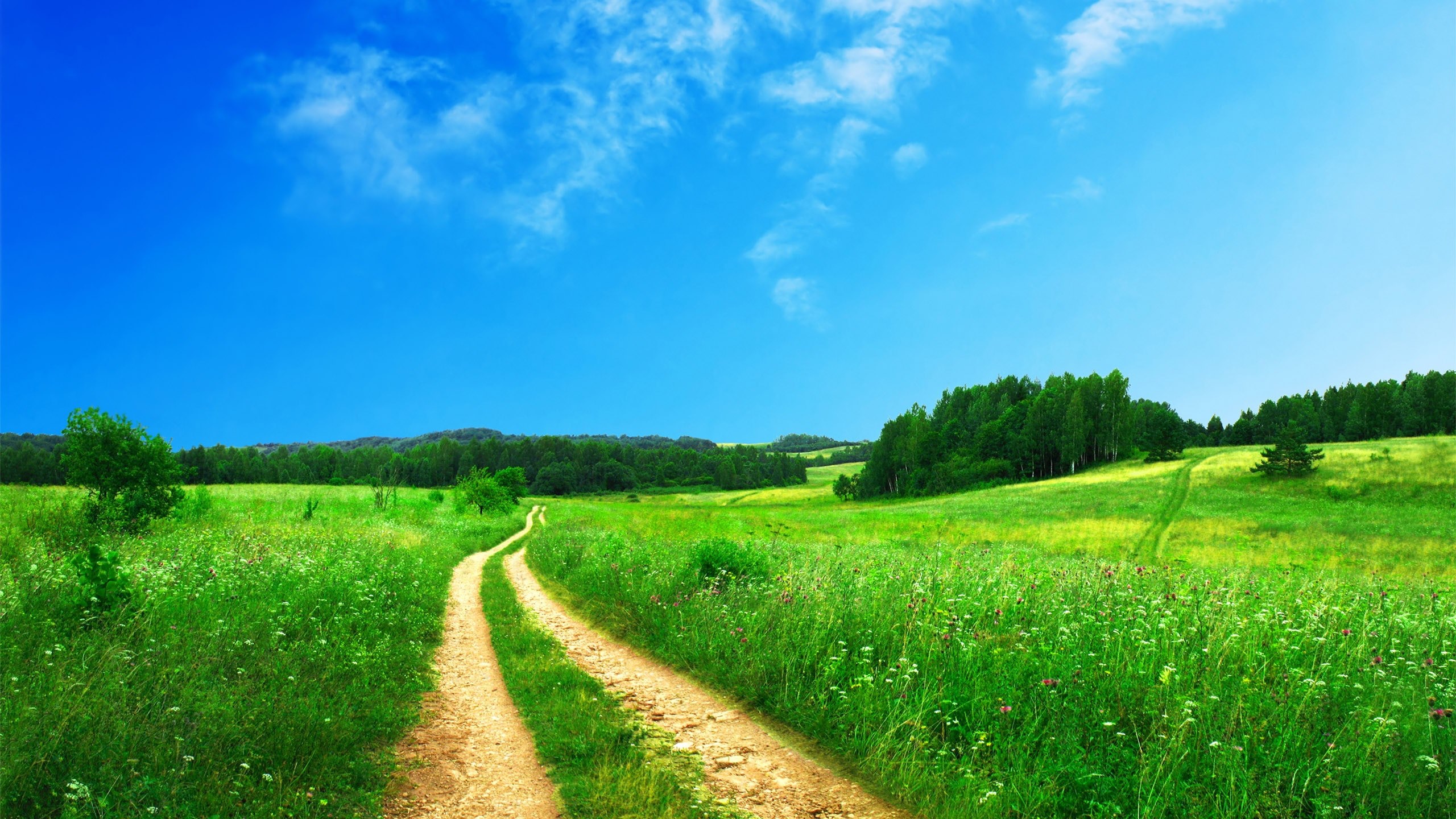 Country Road Spring Wallpapers - Wallpaper Cave