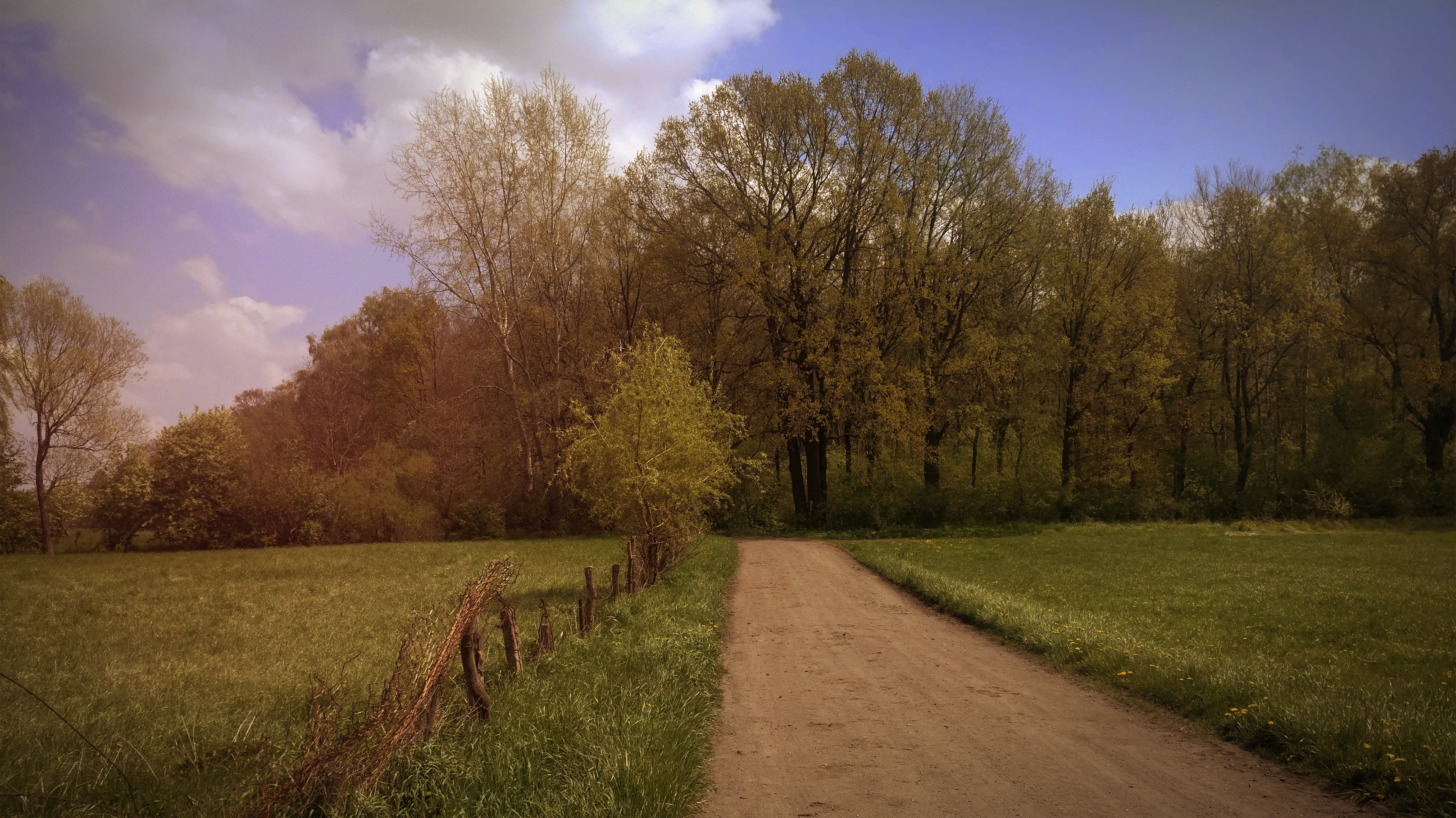Country Road Spring Wallpapers - Wallpaper Cave