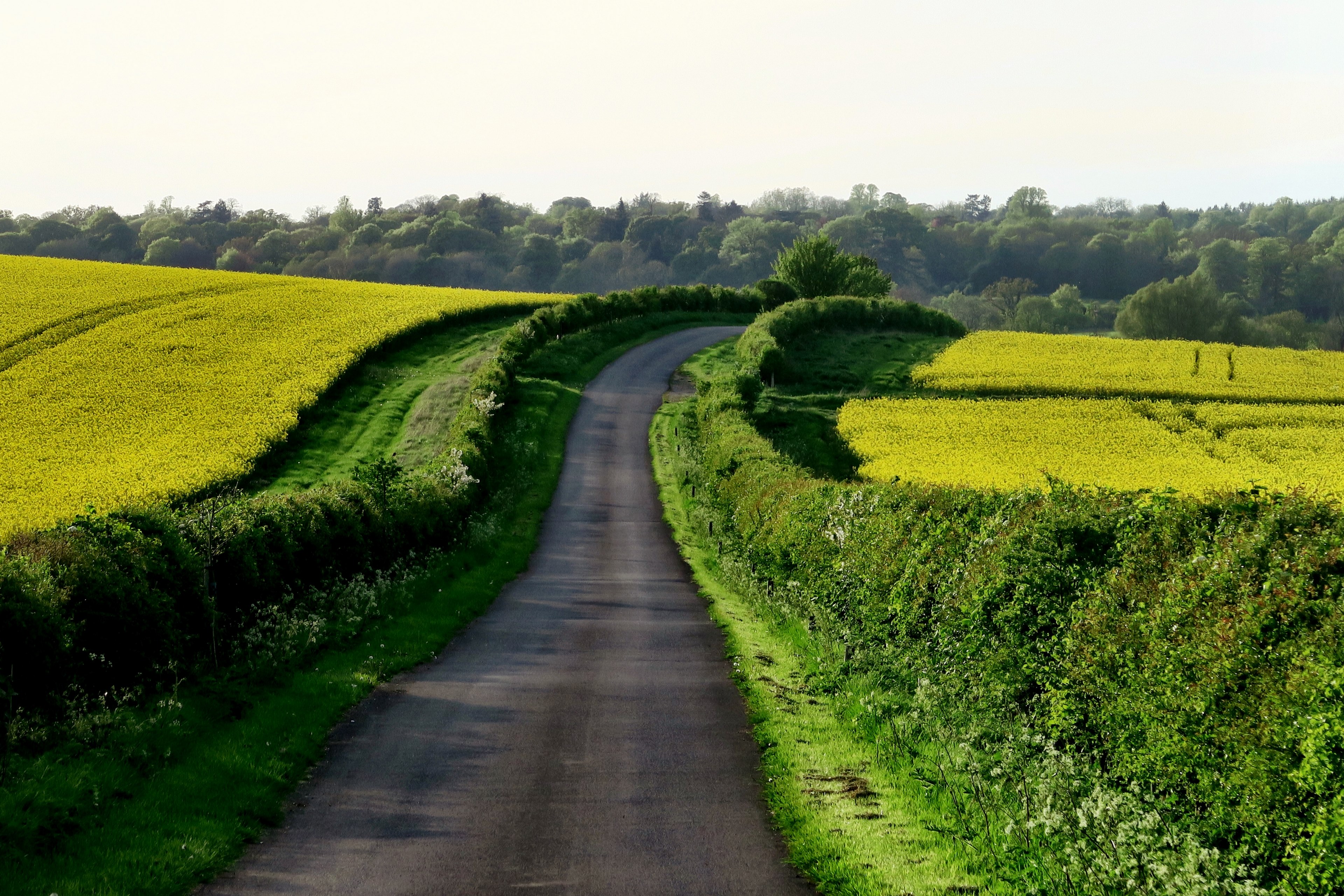 Country Road Spring Wallpapers - Wallpaper Cave