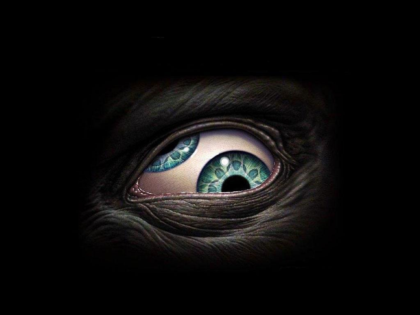 Eyeballs Wallpapers - Wallpaper Cave