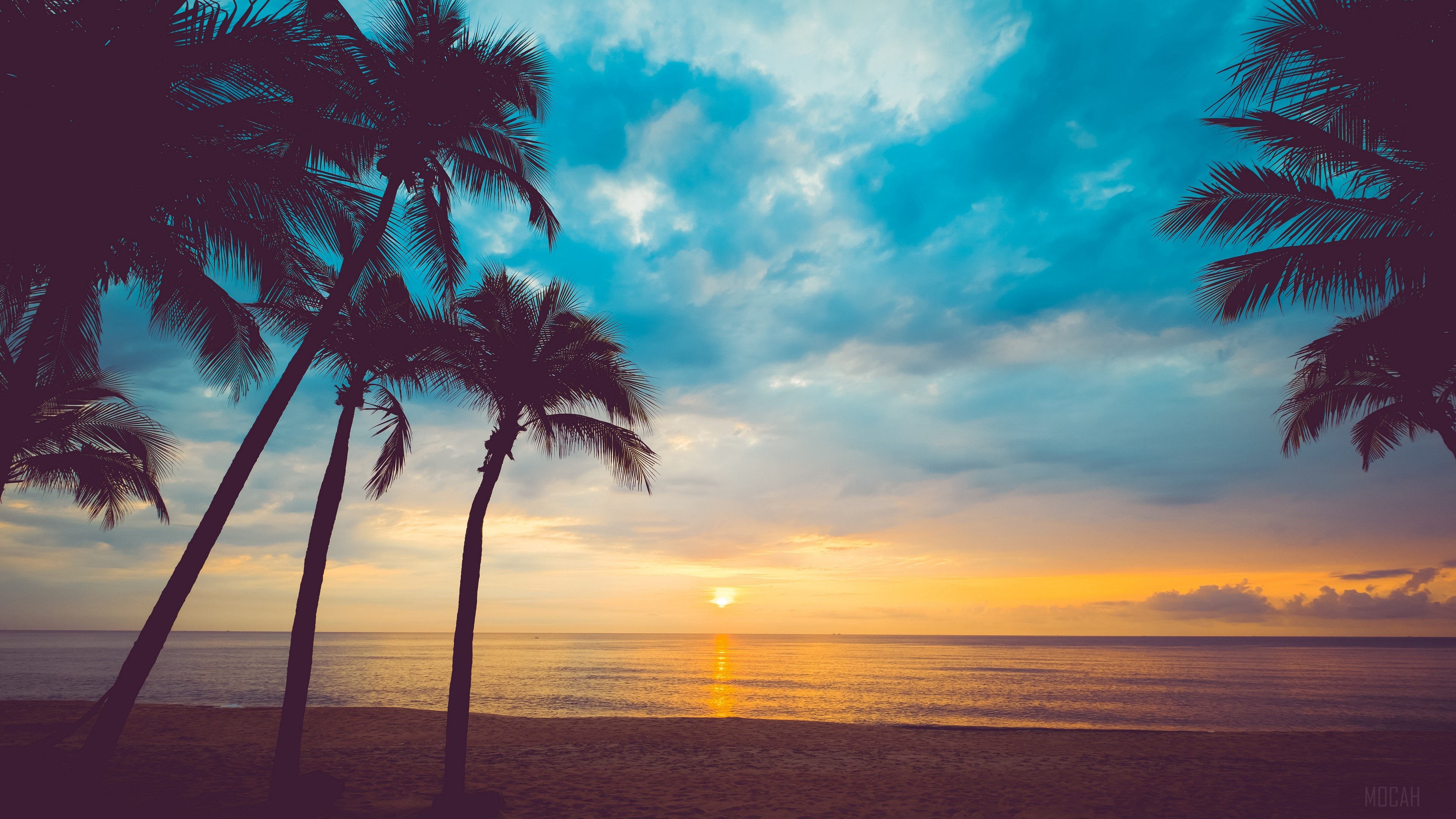 Palm Tree Sunset 4k Wallpapers - Wallpaper Cave