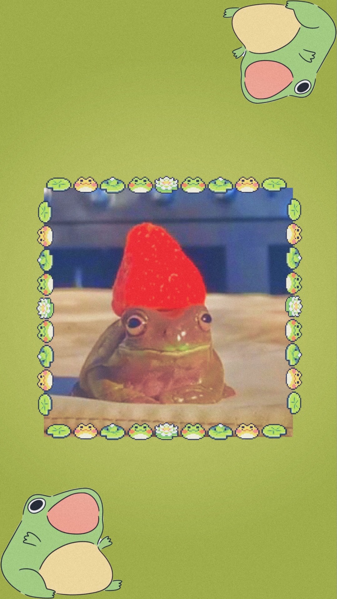 Frogcore Wallpapers - Wallpaper Cave