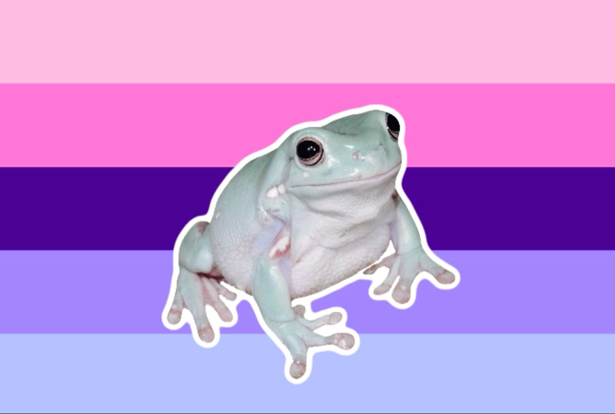 Frogcore Wallpapers - Wallpaper Cave