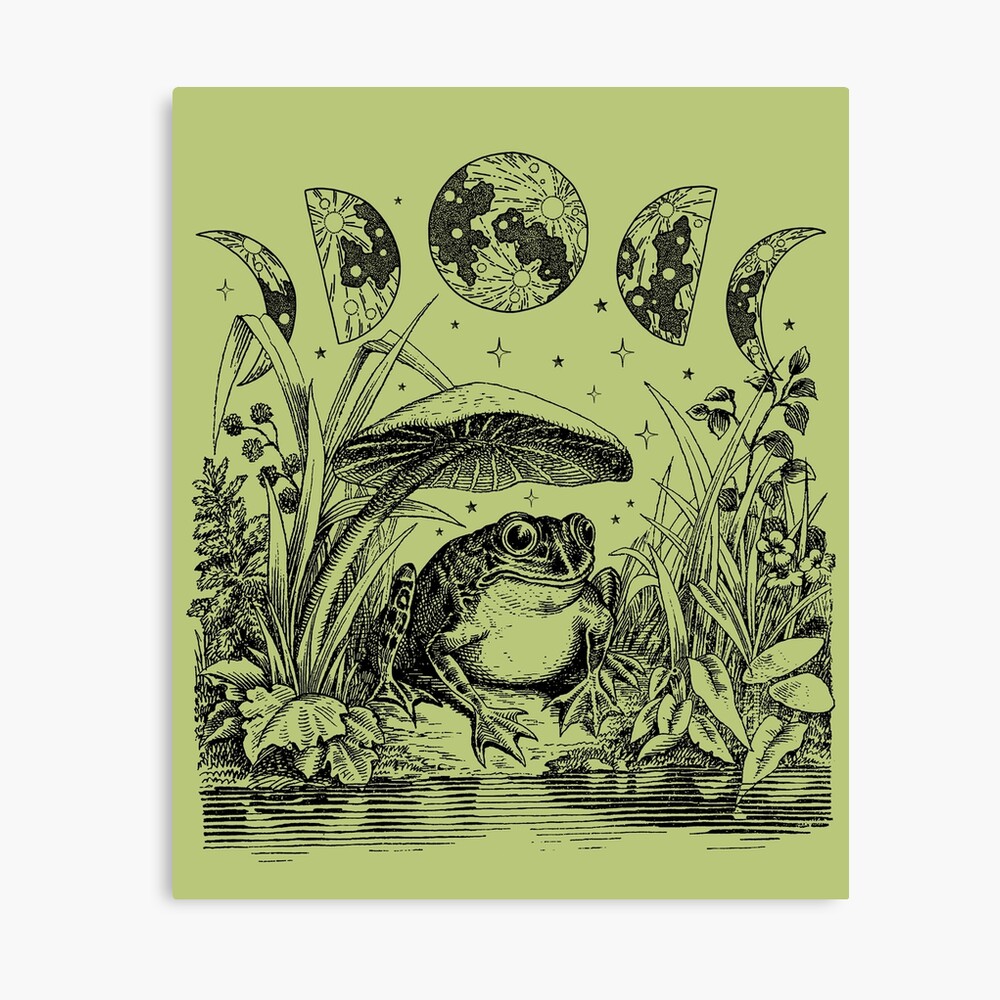 Frogcore Wallpapers - Wallpaper Cave