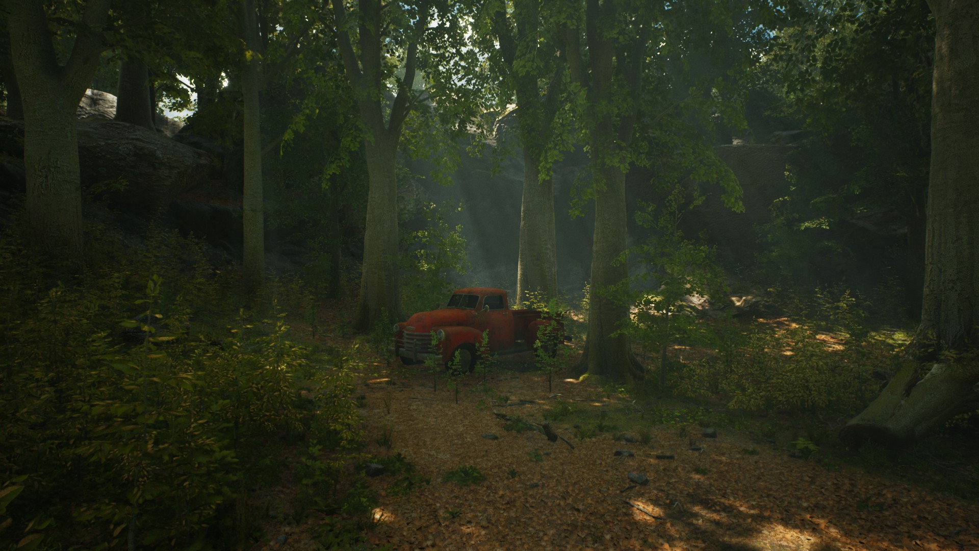 Morels: The Hunt Wallpapers - Wallpaper Cave