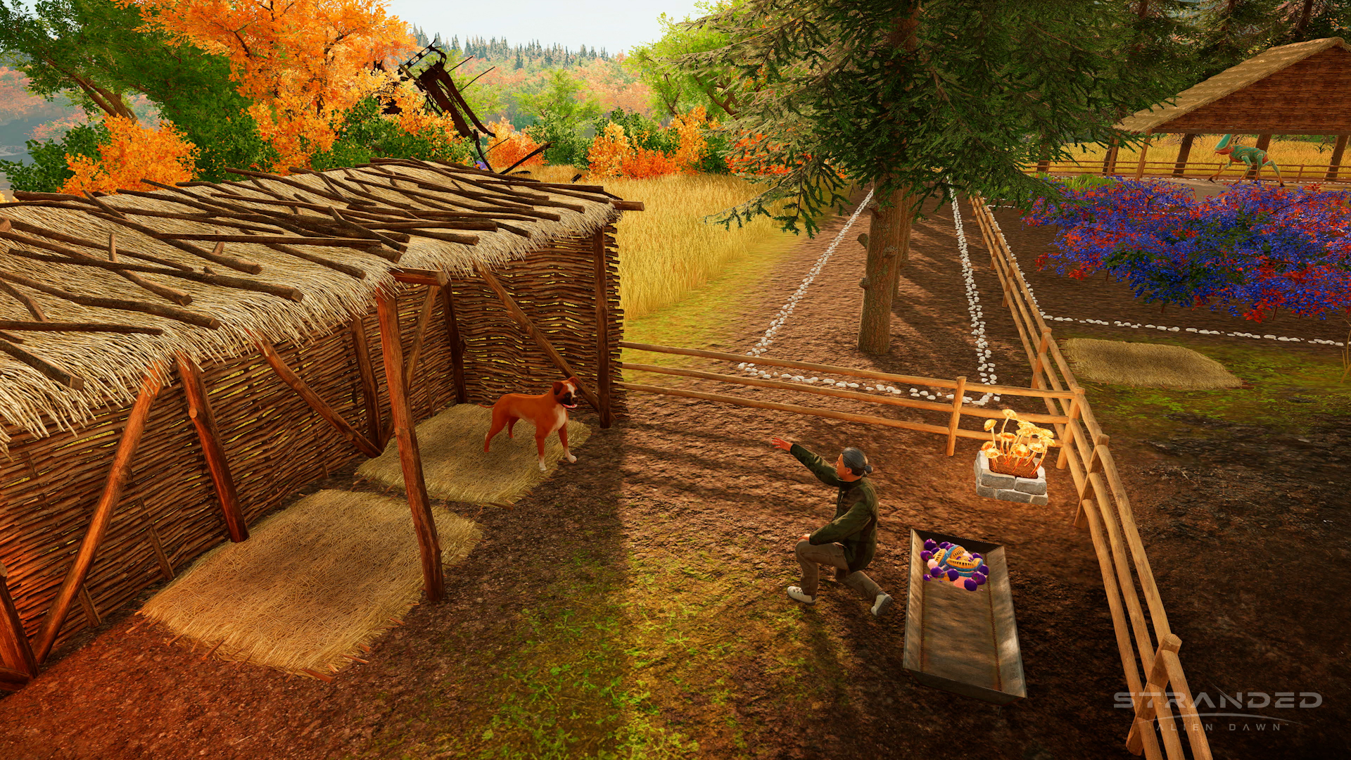 Stranded: Alien Dawn Wallpapers - Wallpaper Cave