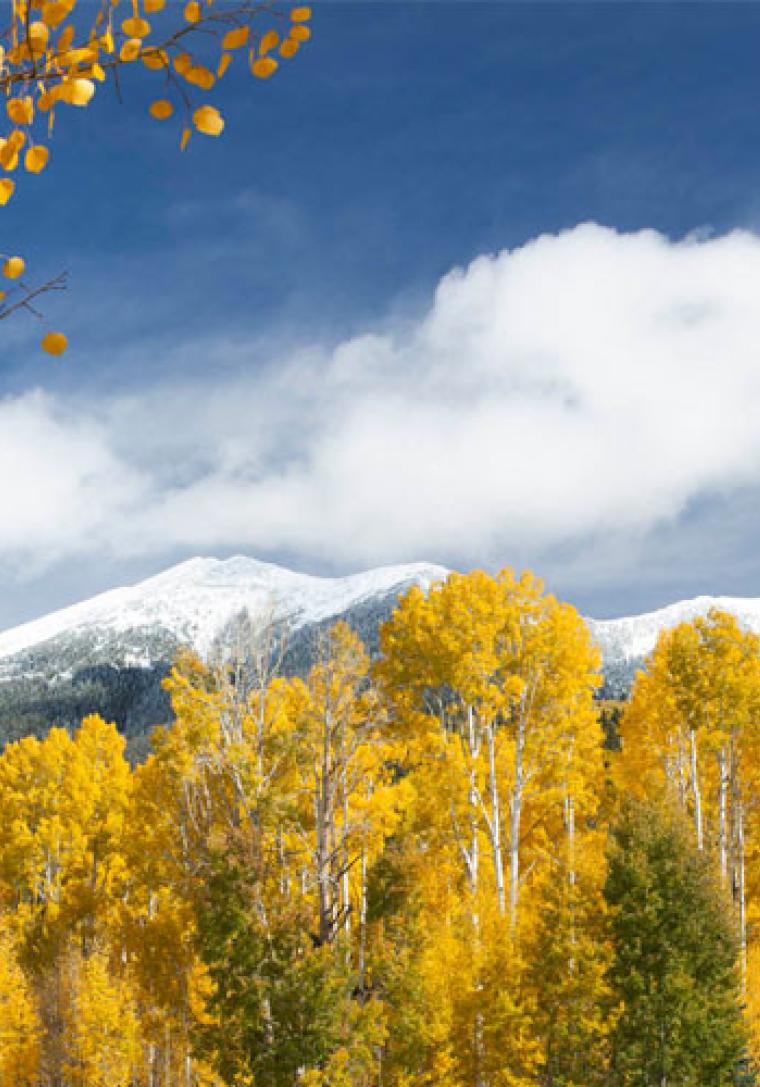 Flagstaff Wallpapers - Wallpaper Cave