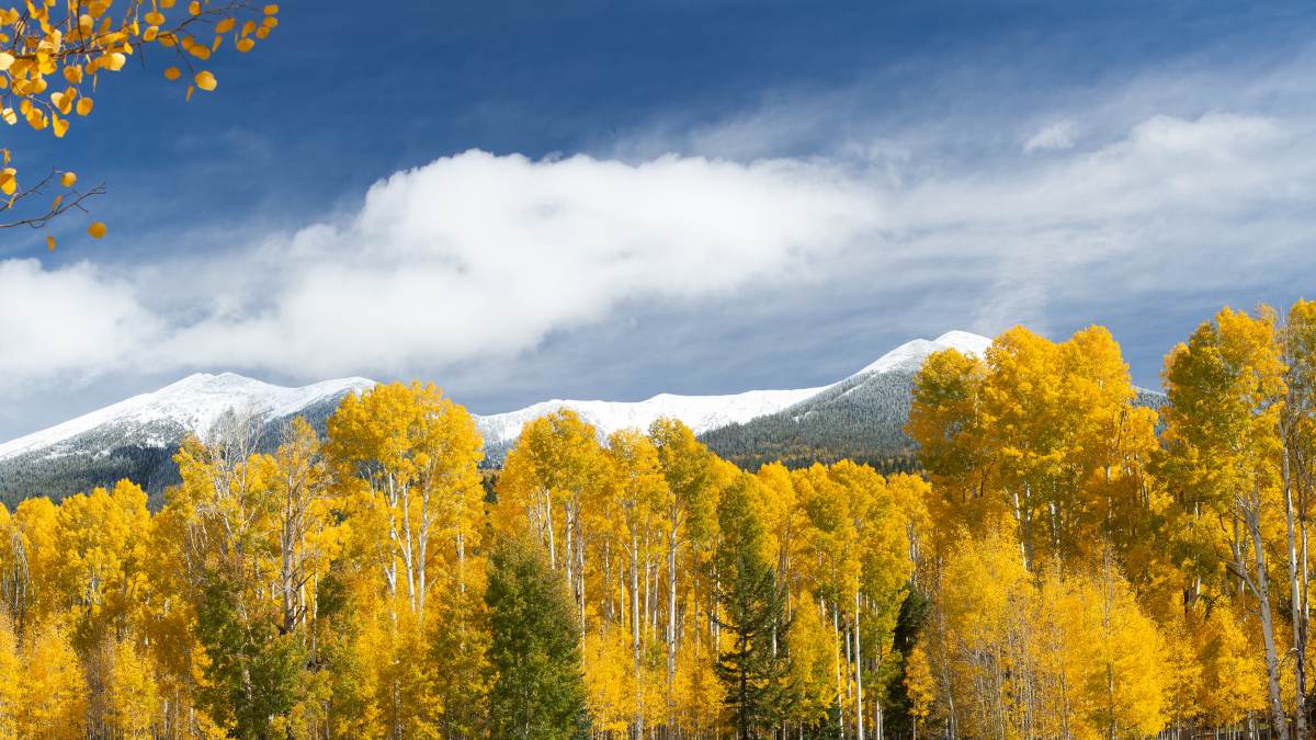 Flagstaff Wallpapers - Wallpaper Cave