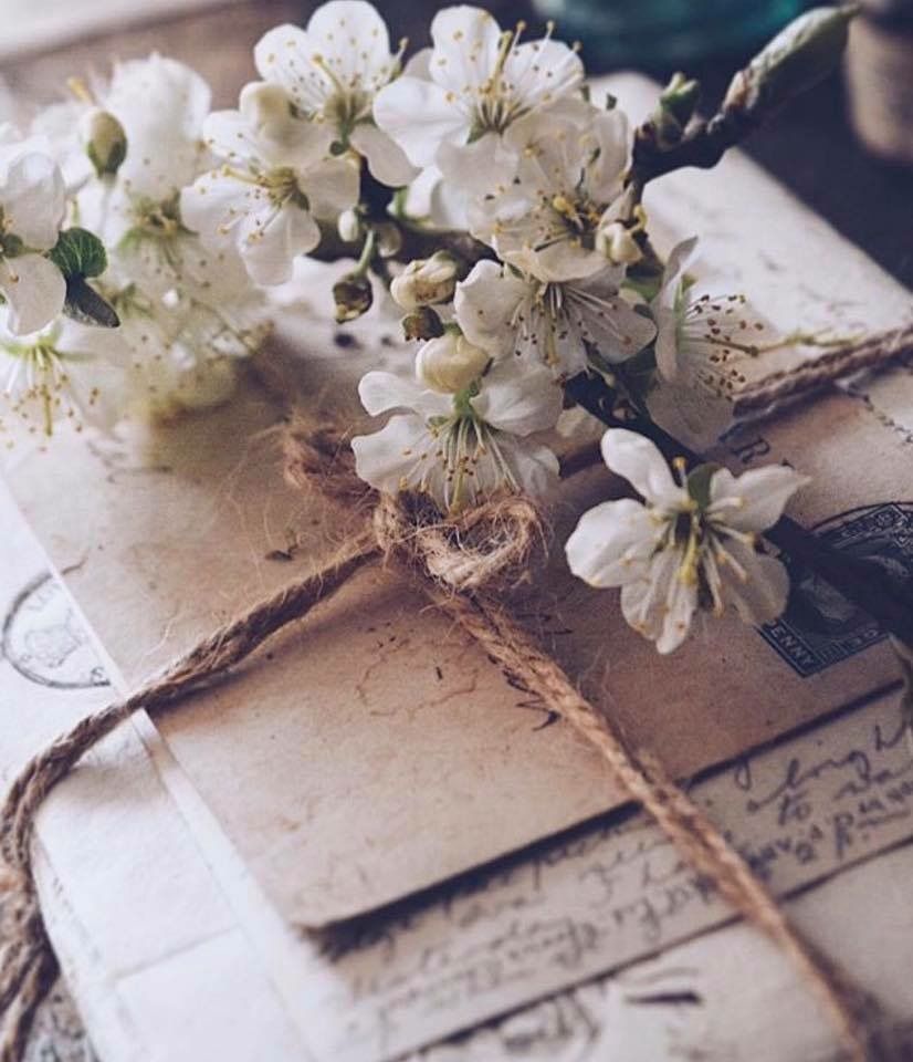 Spring Asthetic Books Wallpapers - Wallpaper Cave