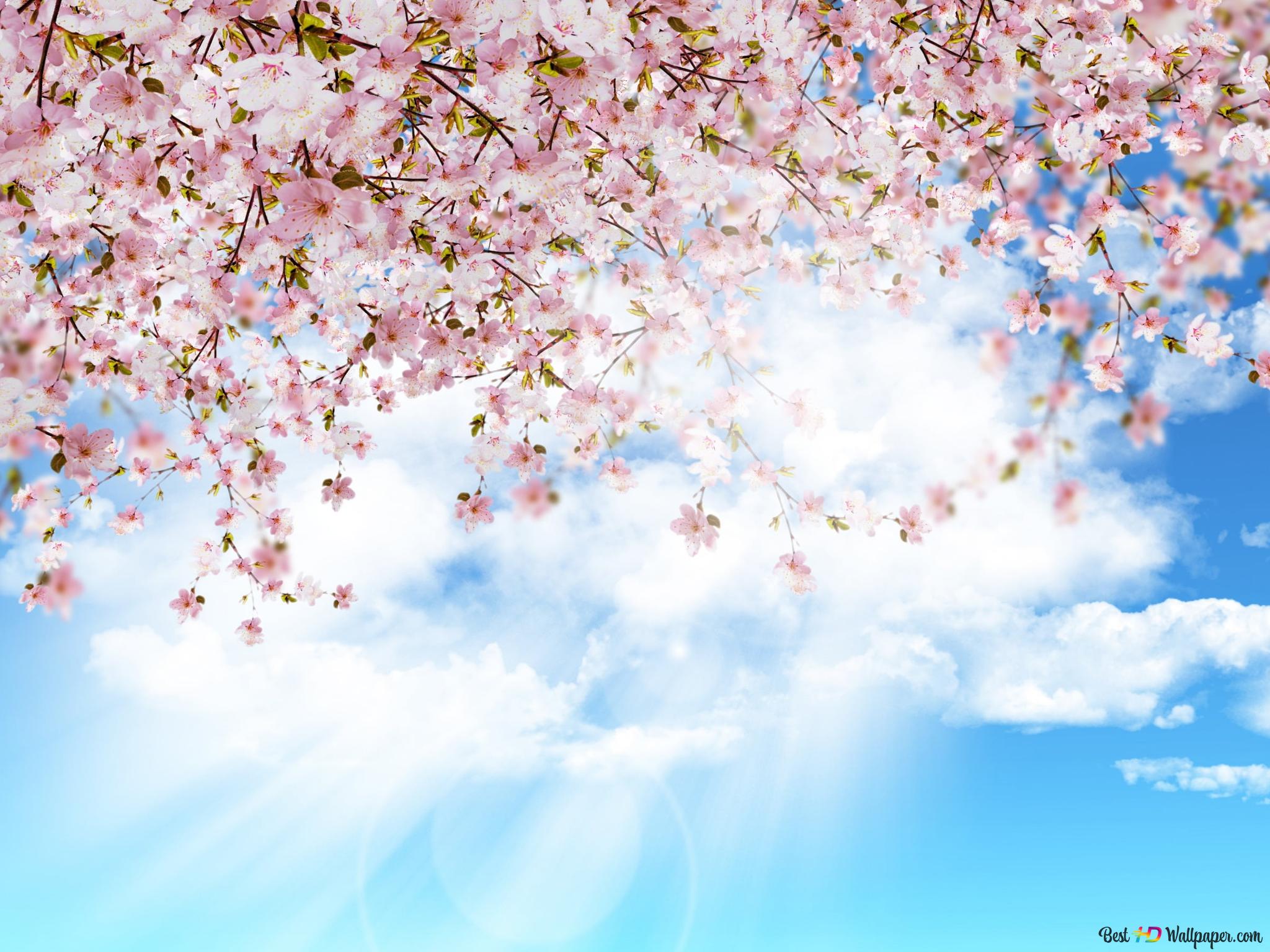 Spring Cloud Wallpapers - Wallpaper Cave