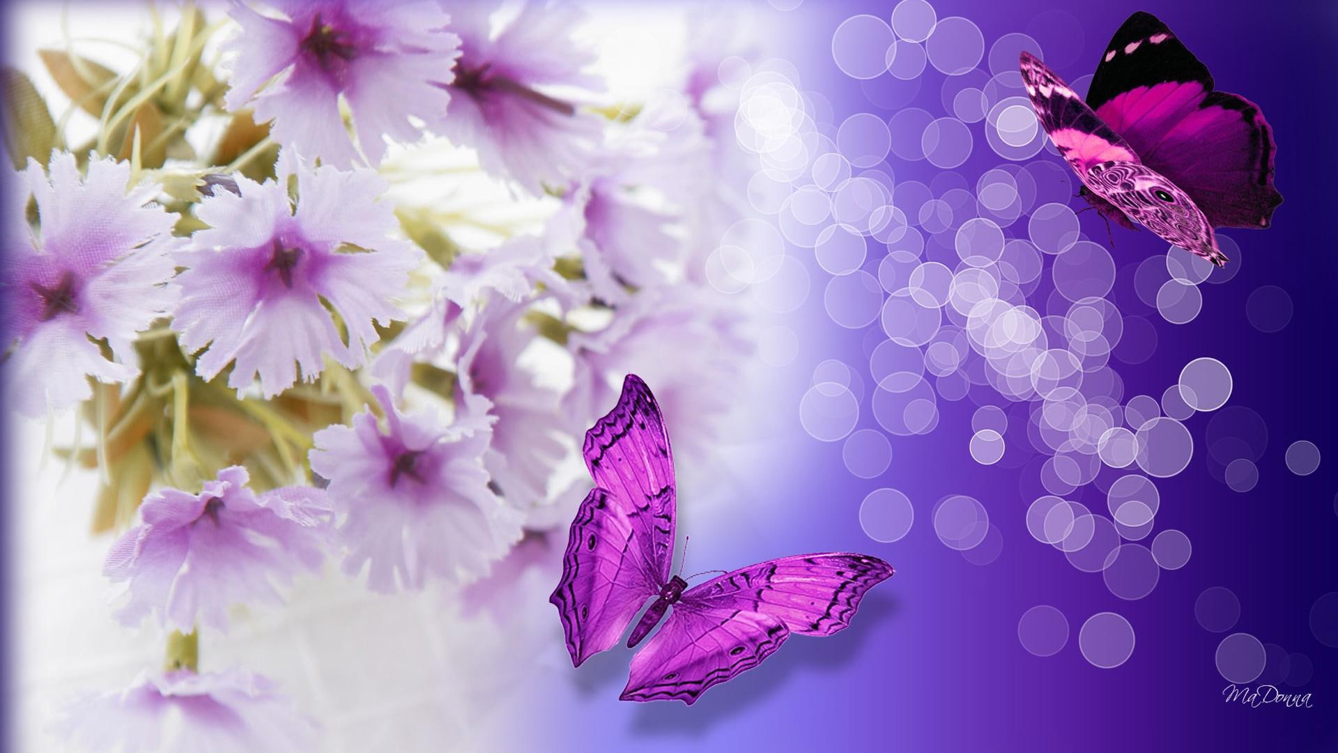 Spring Light Lavander Wallpapers - Wallpaper Cave