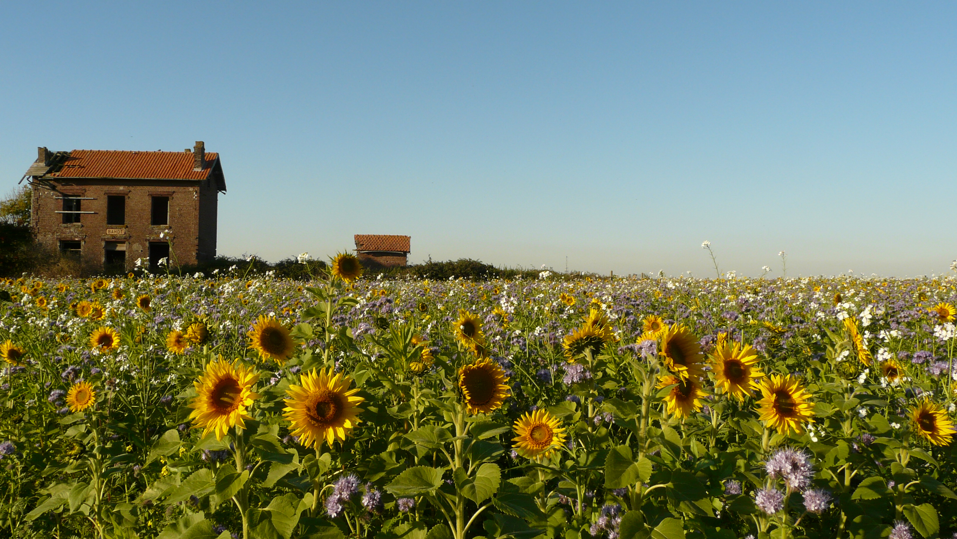 Spring Farm House Wallpapers - Wallpaper Cave