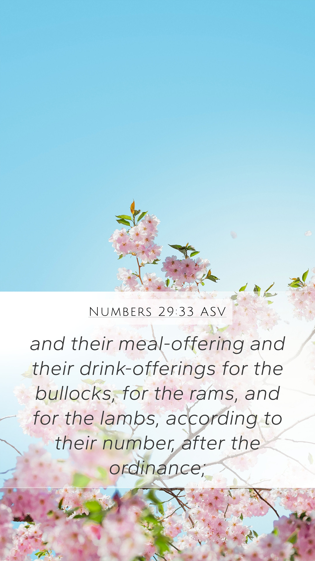 Boho Spring Bible Verse Wallpapers - Wallpaper Cave