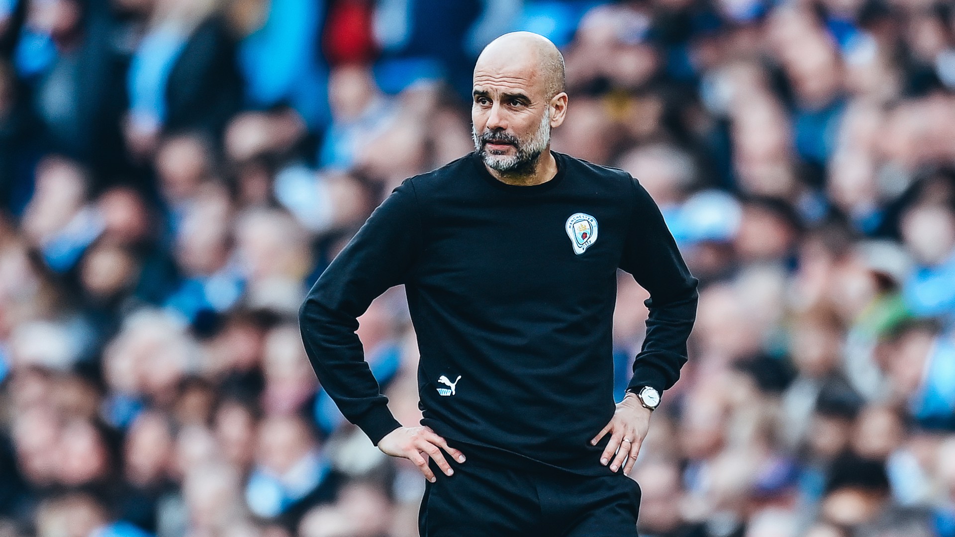 Guardiola 2023 Wallpapers - Wallpaper Cave